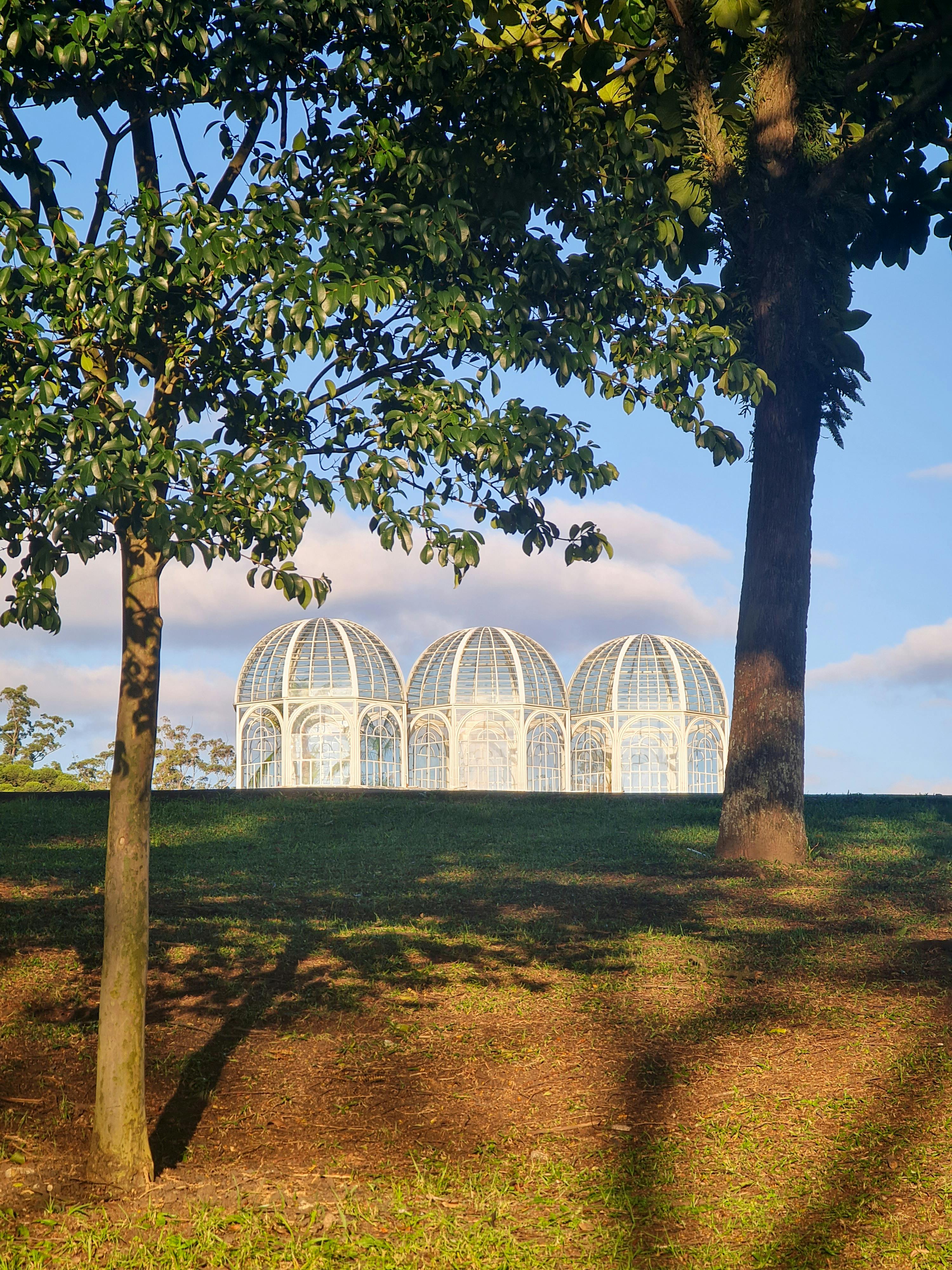 Botanical Garden behind Trees in Park in Curitiba in Brazil · Free ...