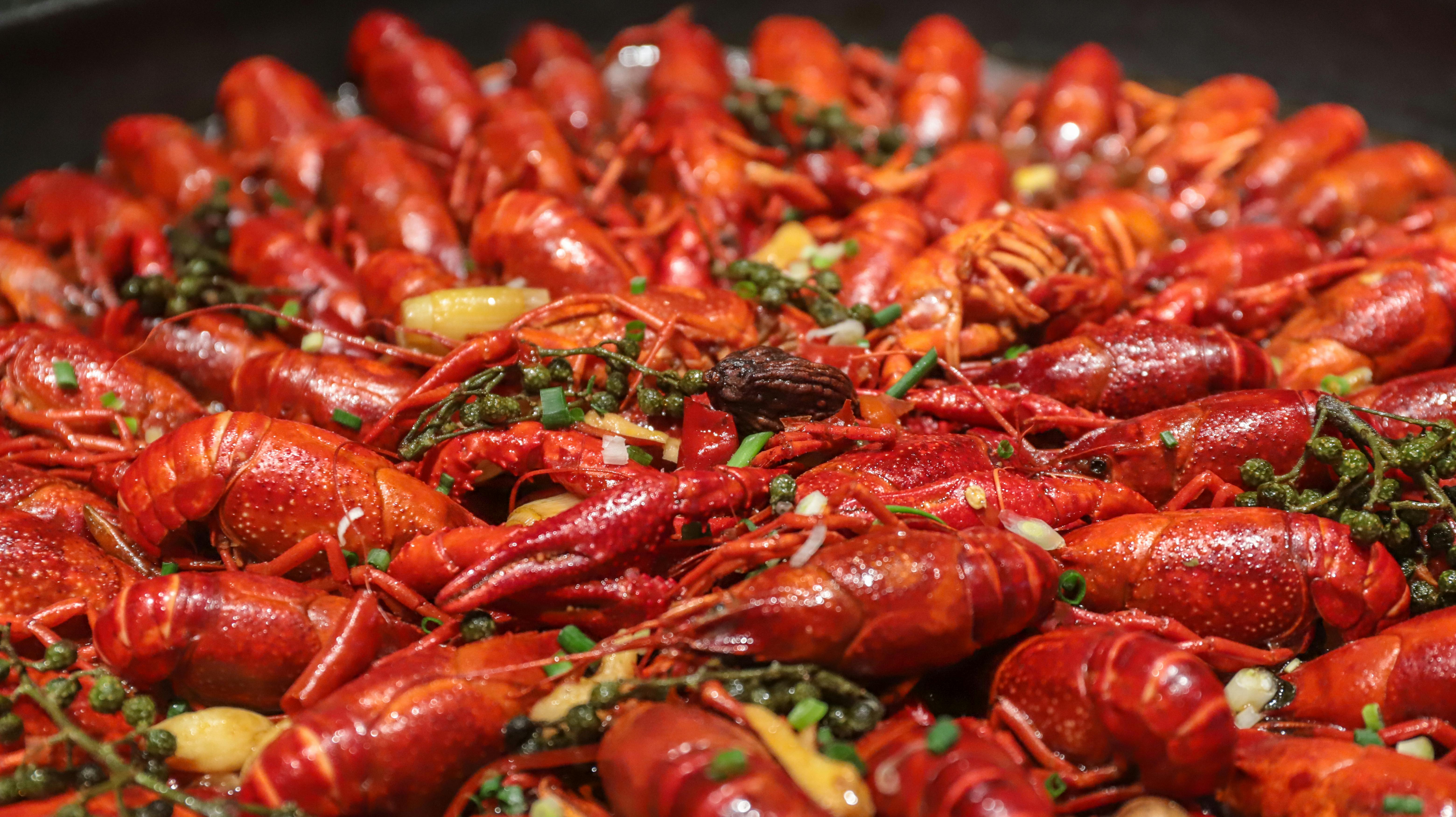 Foto de stock gratuita sobre auténtico, banquete, cangrejo de río ...