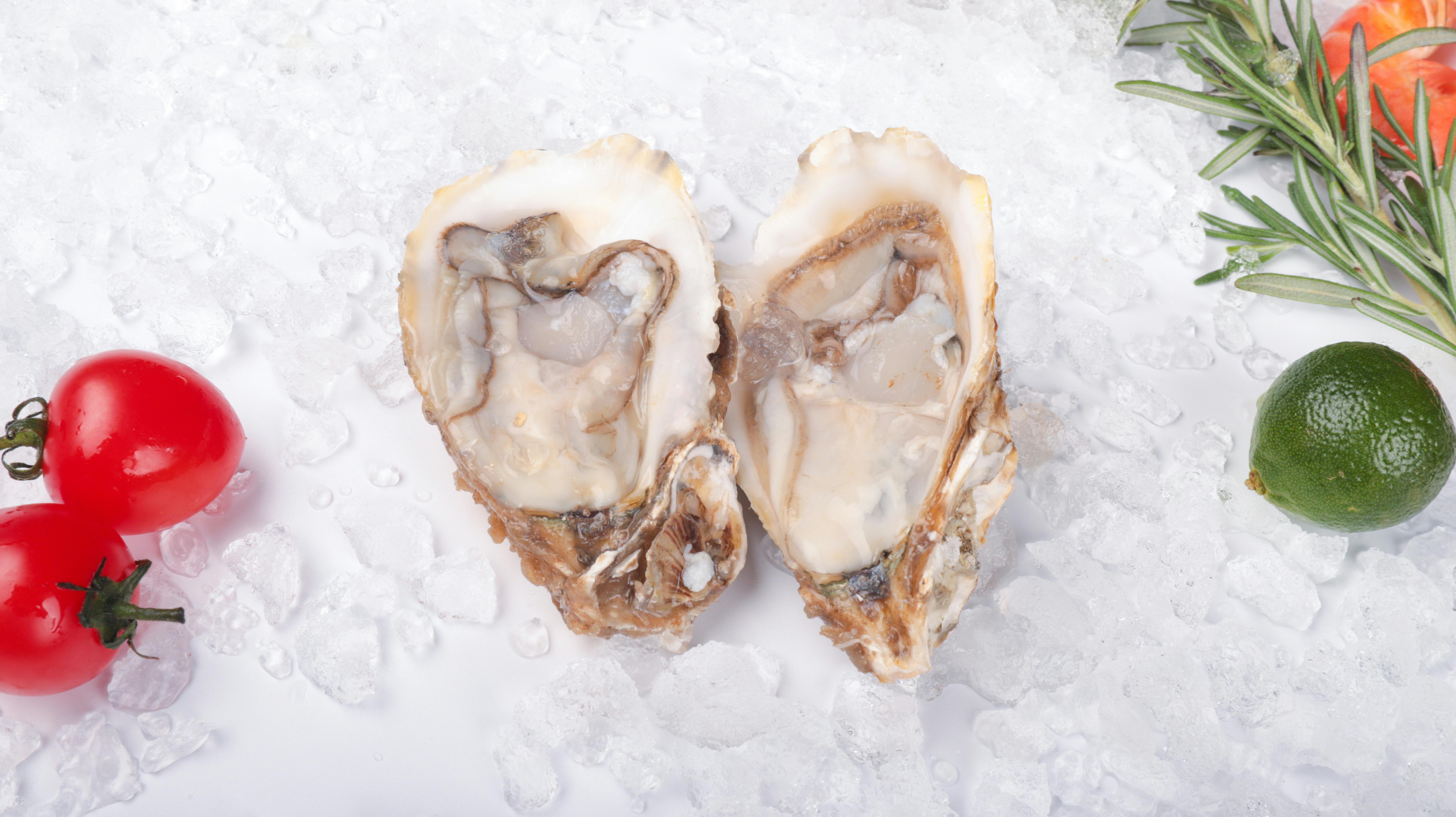 Two oysters on ice with tomatoes and herbs · Free Stock Photo