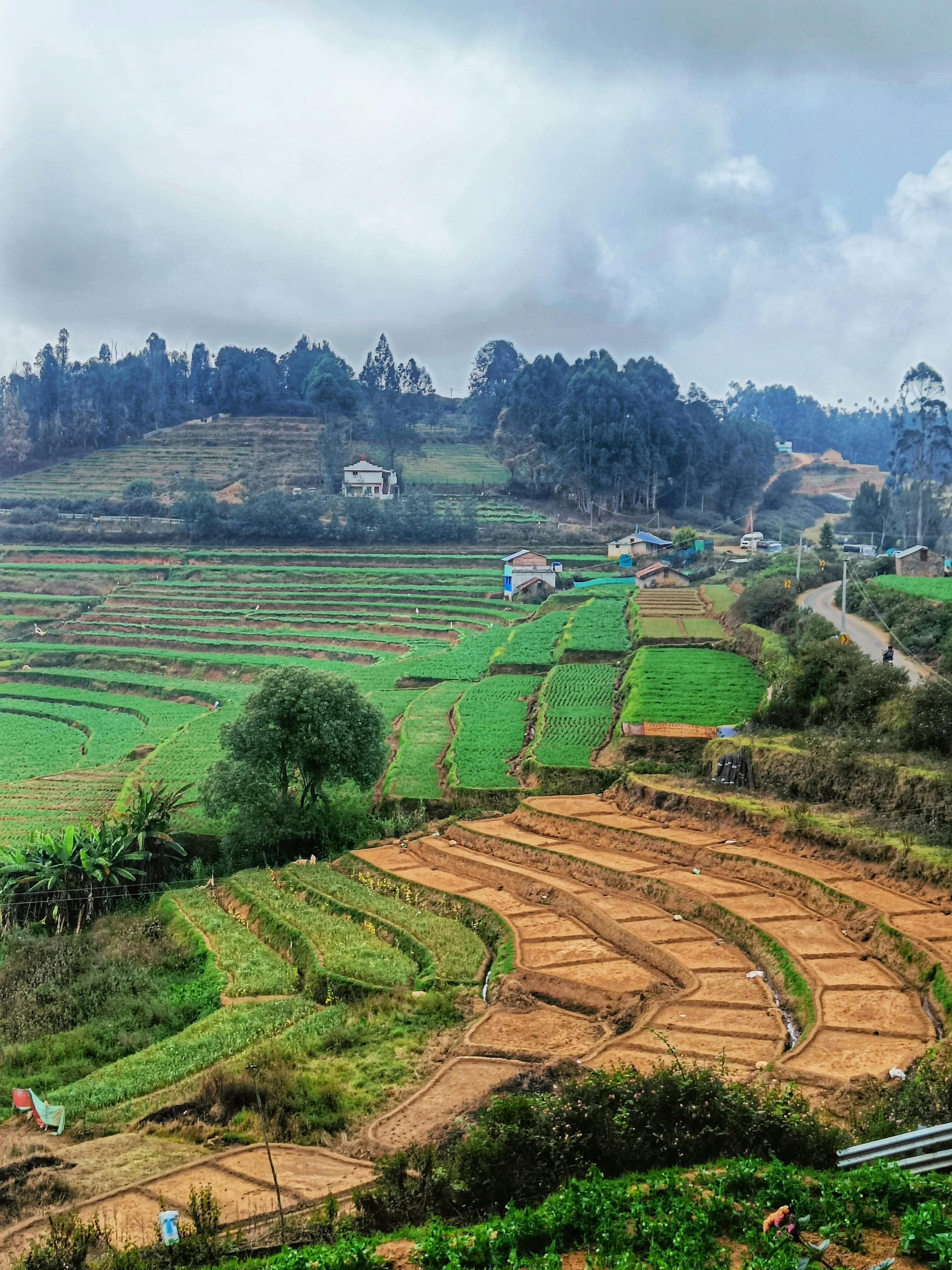 Step Farming · Free Stock Photo