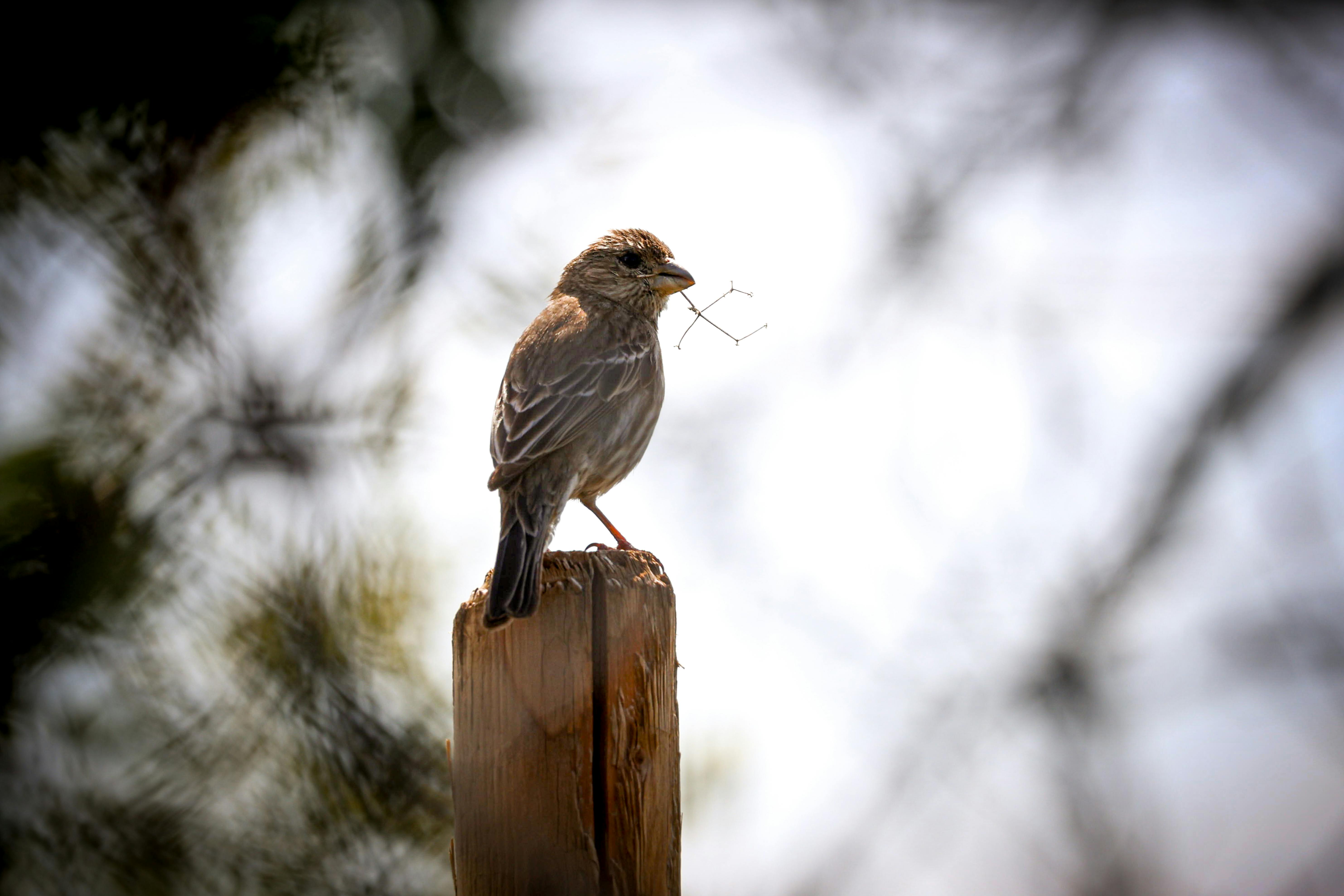 Post Its Photos, Download The BEST Free Post Its Stock Photos & HD Images