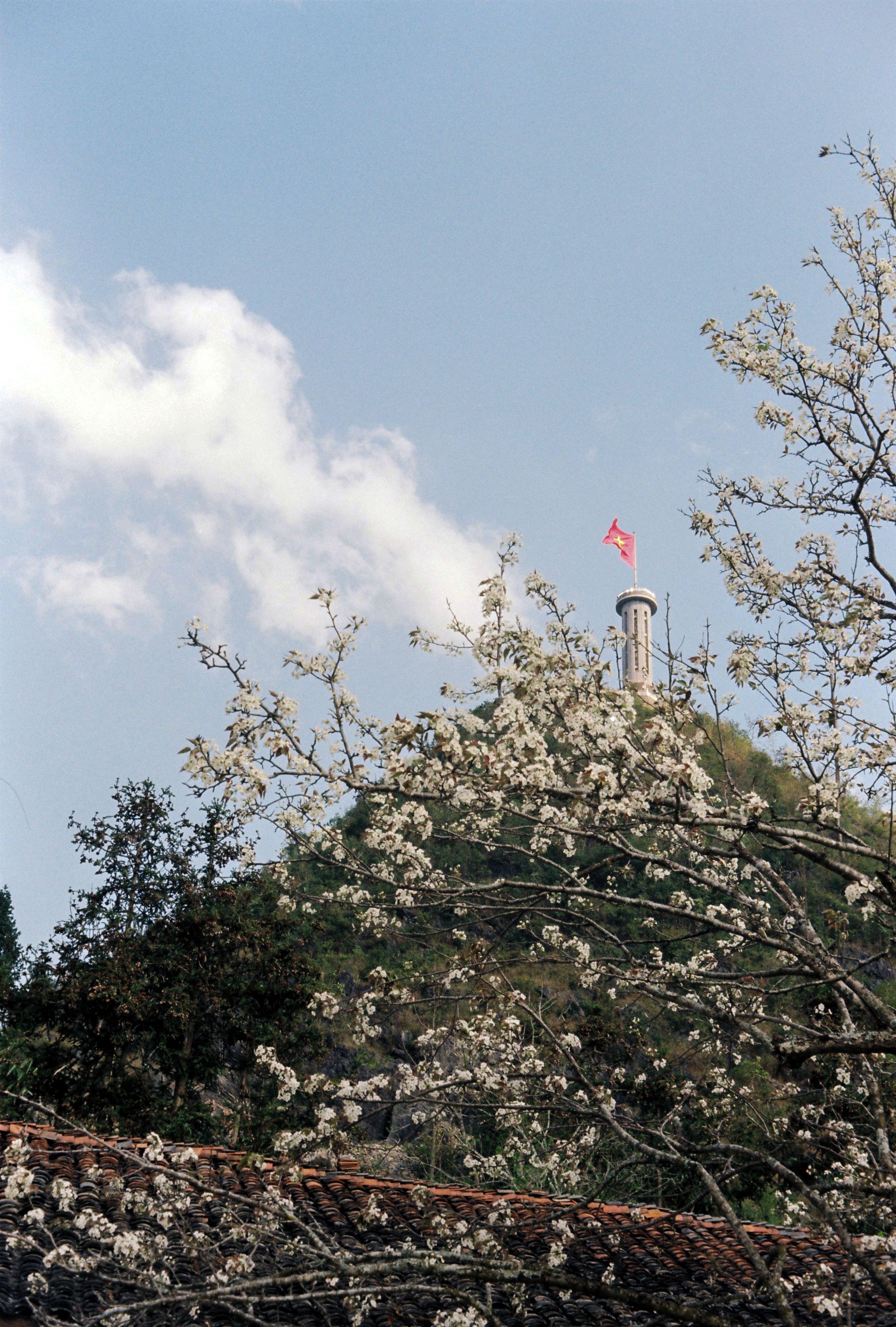 Mound with Column in Spring · Free Stock Photo