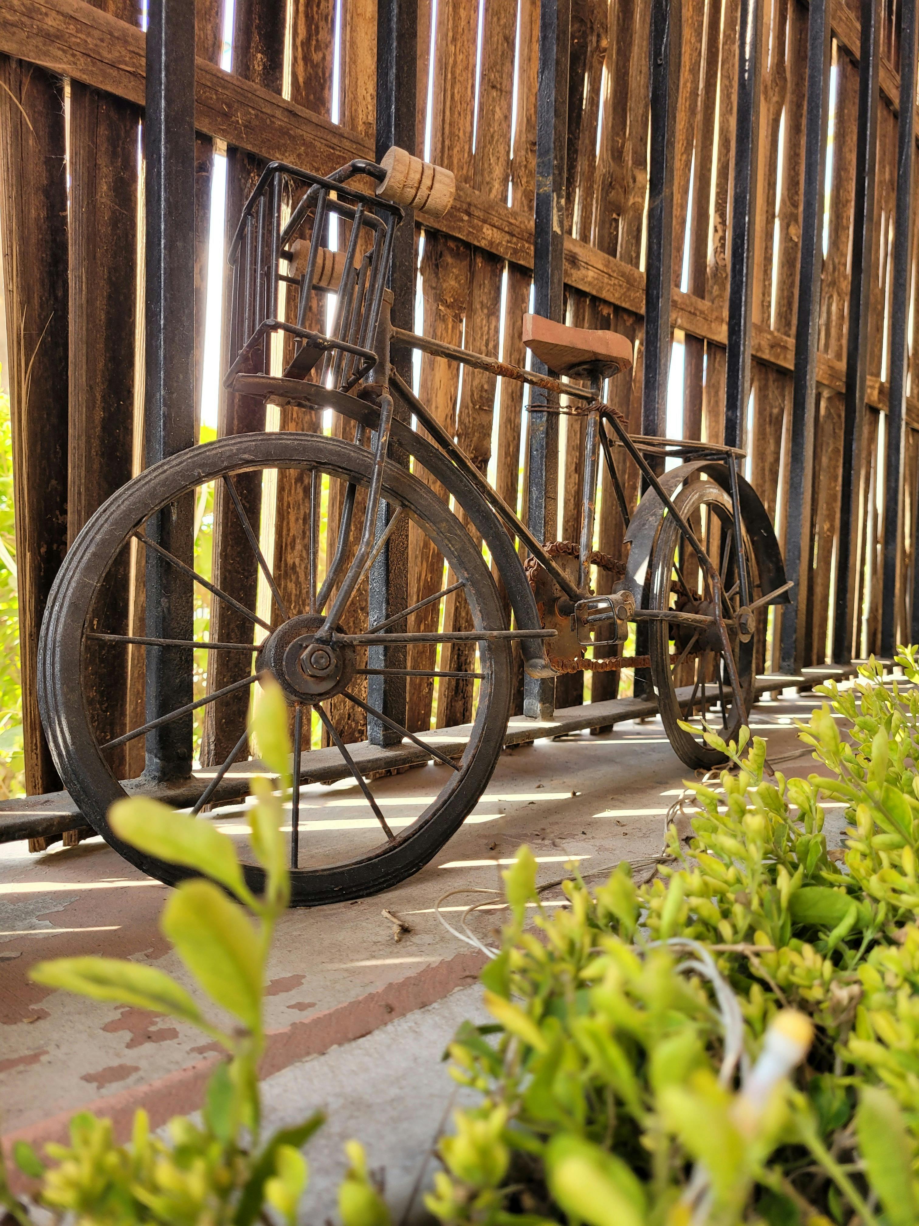 Bycycle Photos, Download The BEST Free Bycycle Stock Photos & HD Images