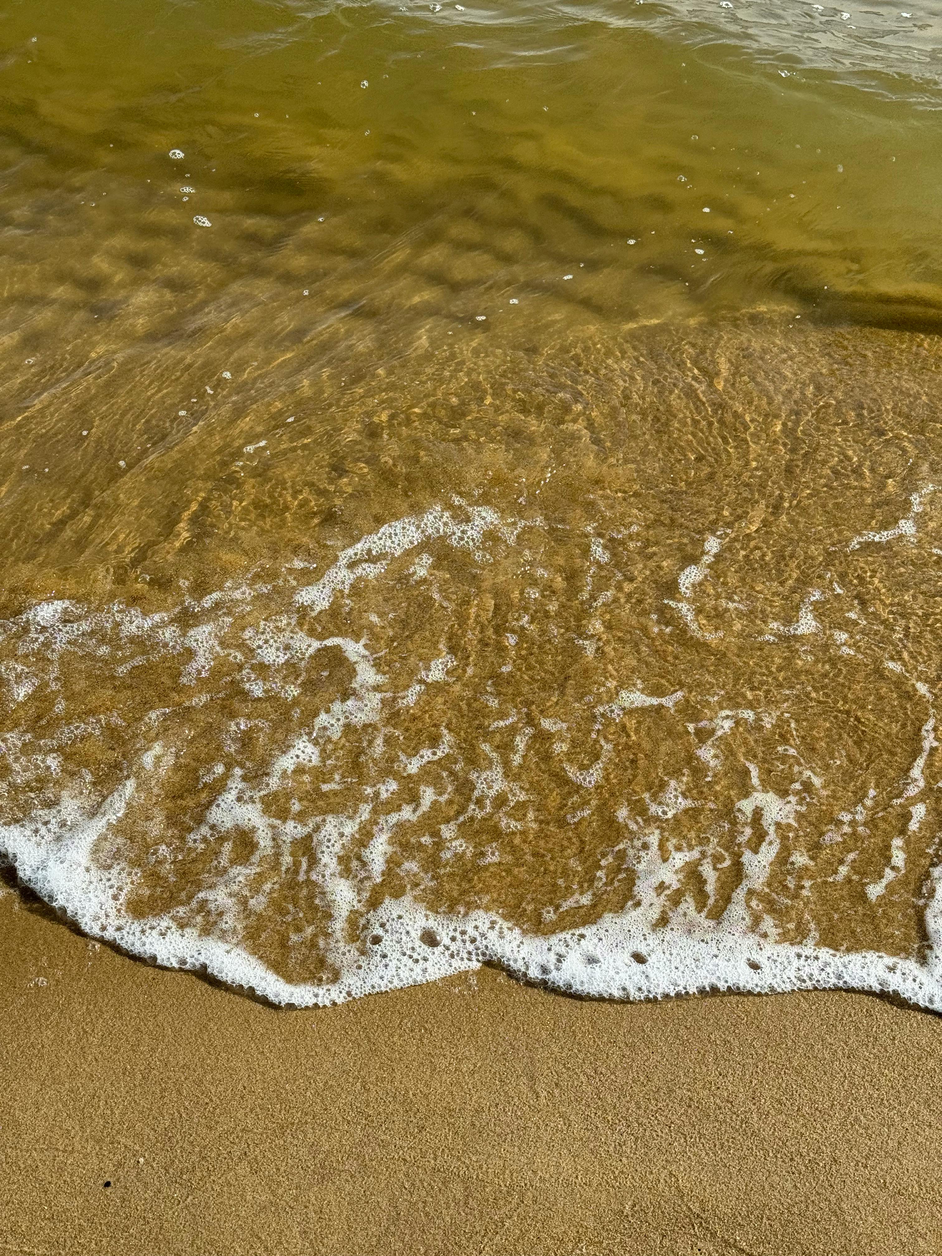 Close-up of a Wave Washing Up the Beach · Free Stock Photo