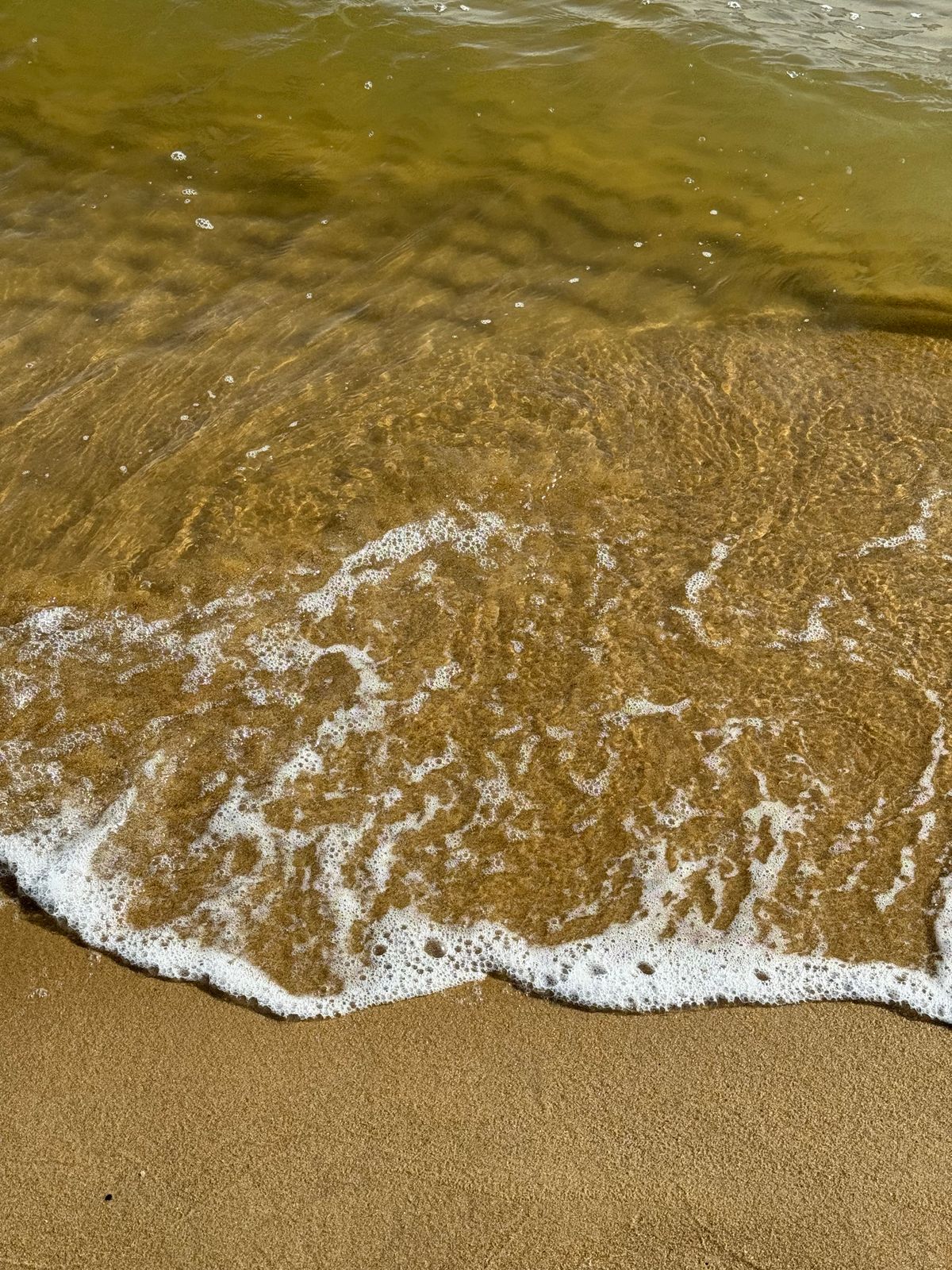 Wave Beach Photos, Download The BEST Free Wave Beach Stock Photos & HD ...