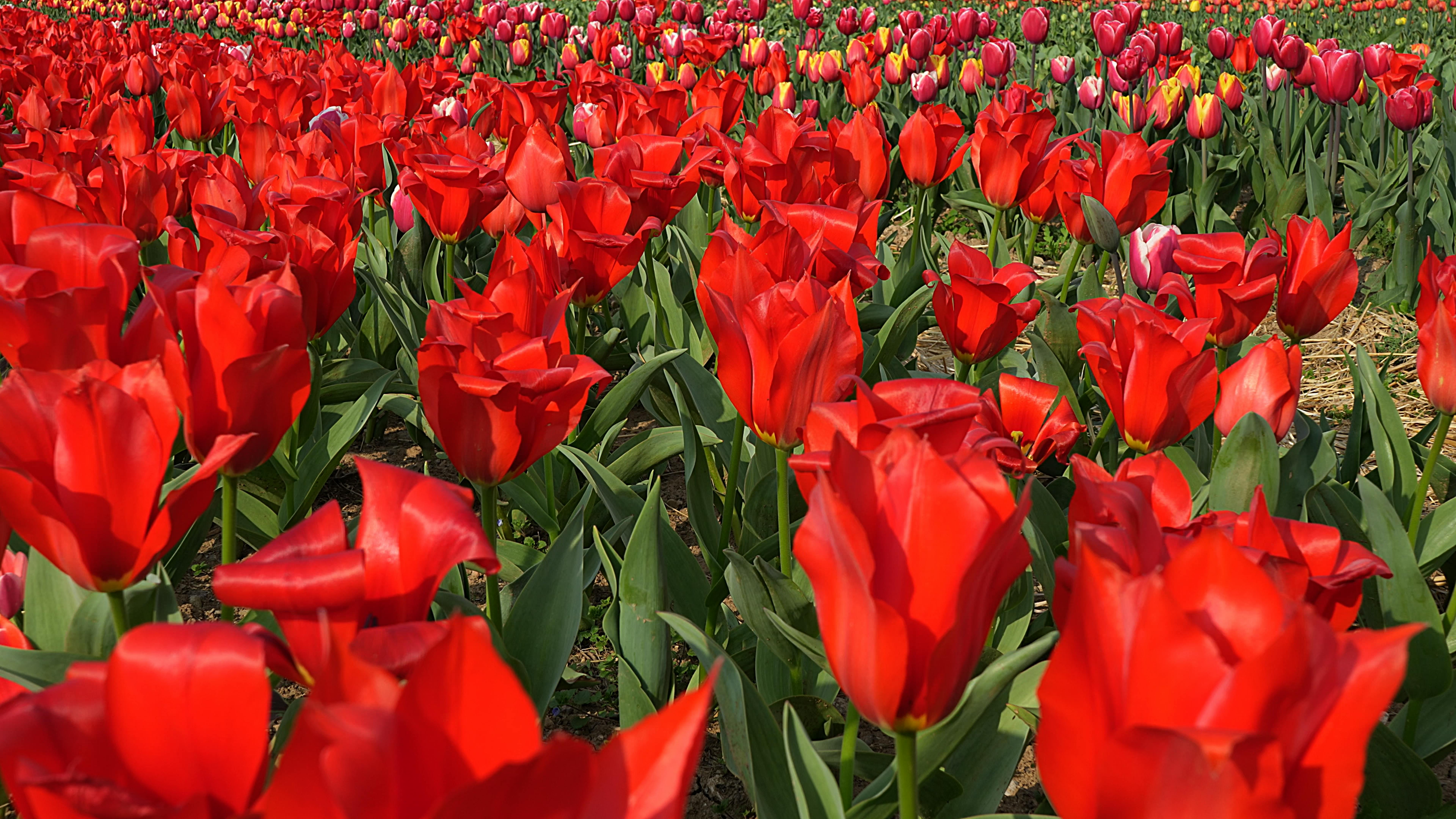 Ambient_Nature_ Atmosphere - Photography