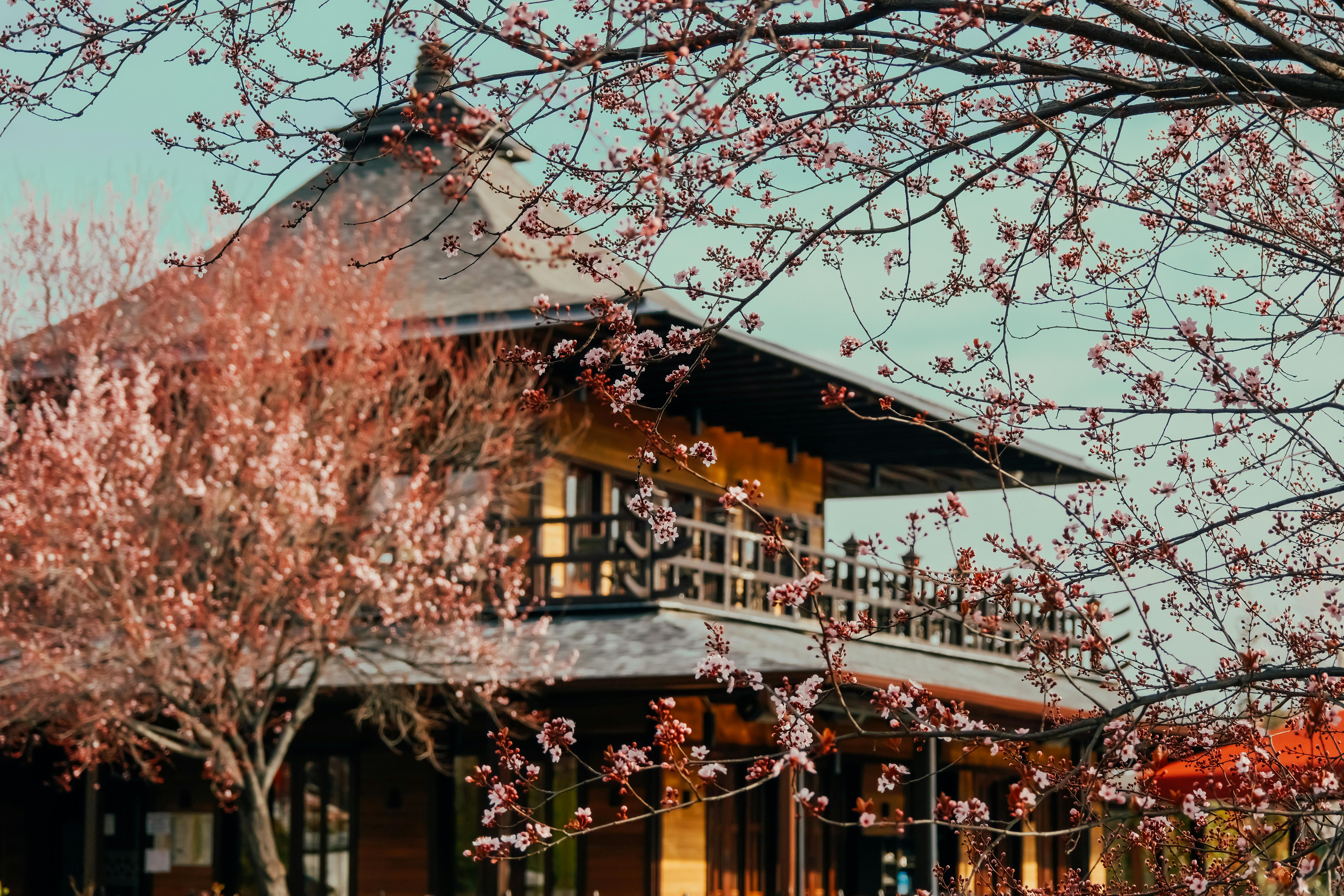 Photo of a Temple in Spring · Free Stock Photo
