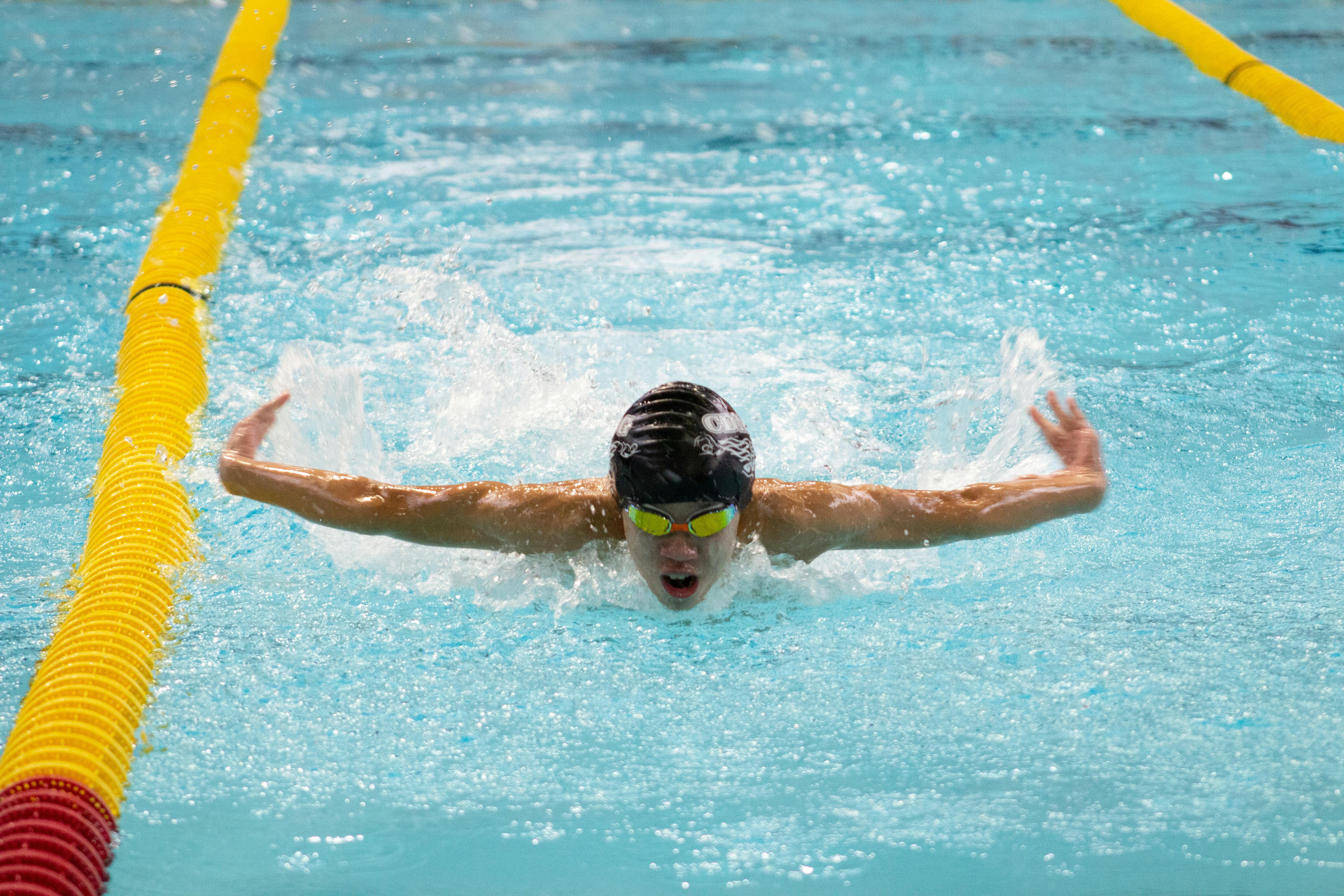 Swimmer Far Photos, Download The BEST Free Swimmer Far Stock Photos ...