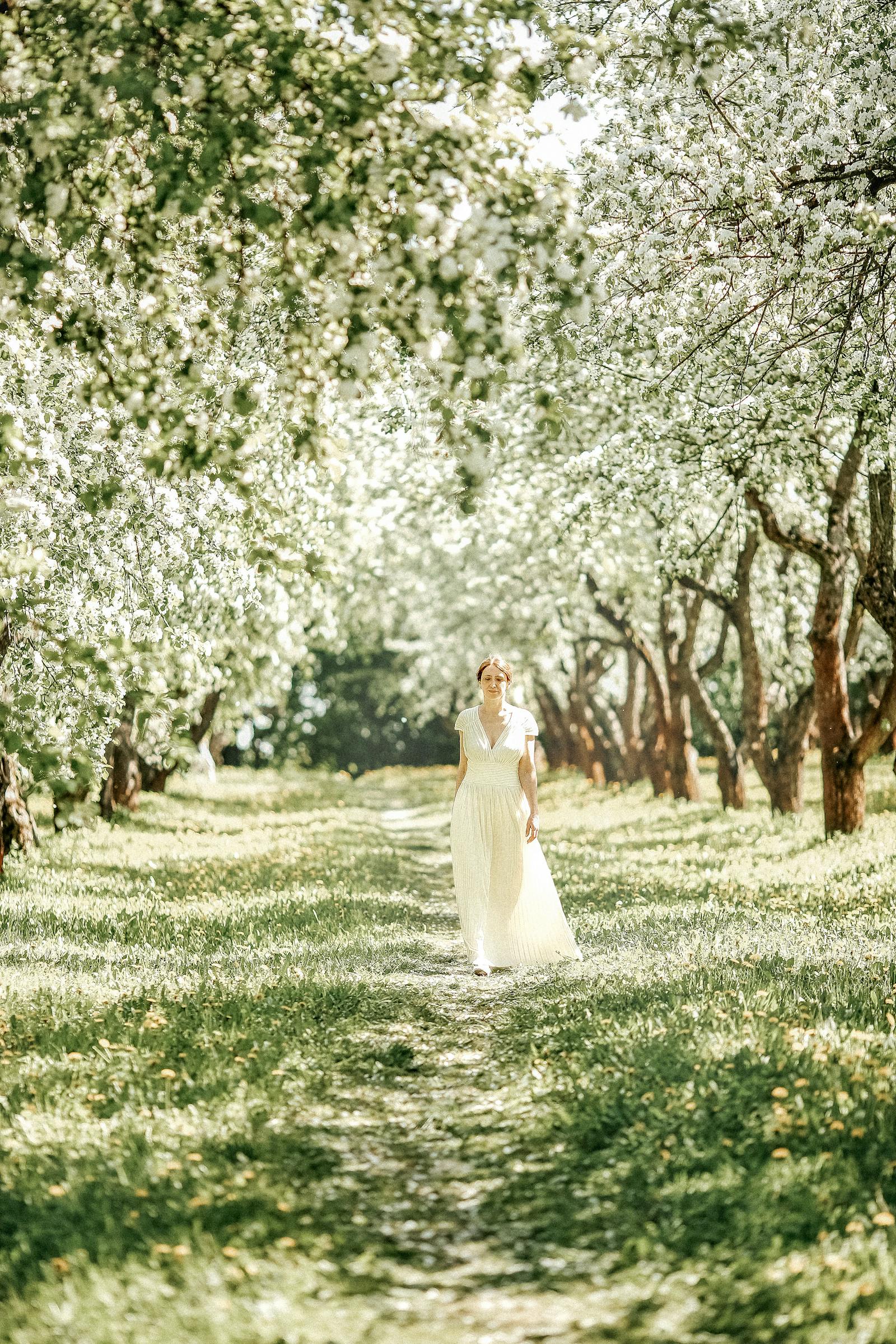 Flower Path Photos, Download The BEST Free Flower Path Stock Photos ...