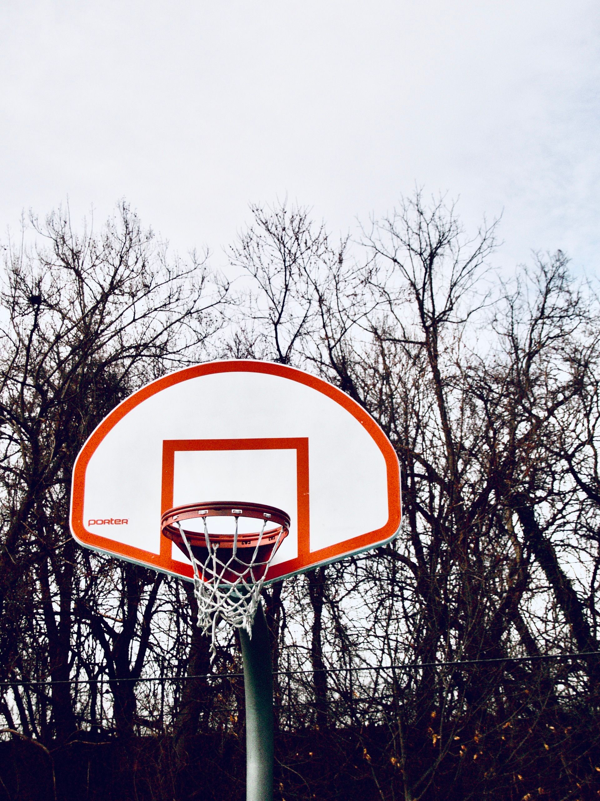 Basketball Hoop and Trees behind · Free Stock Photo