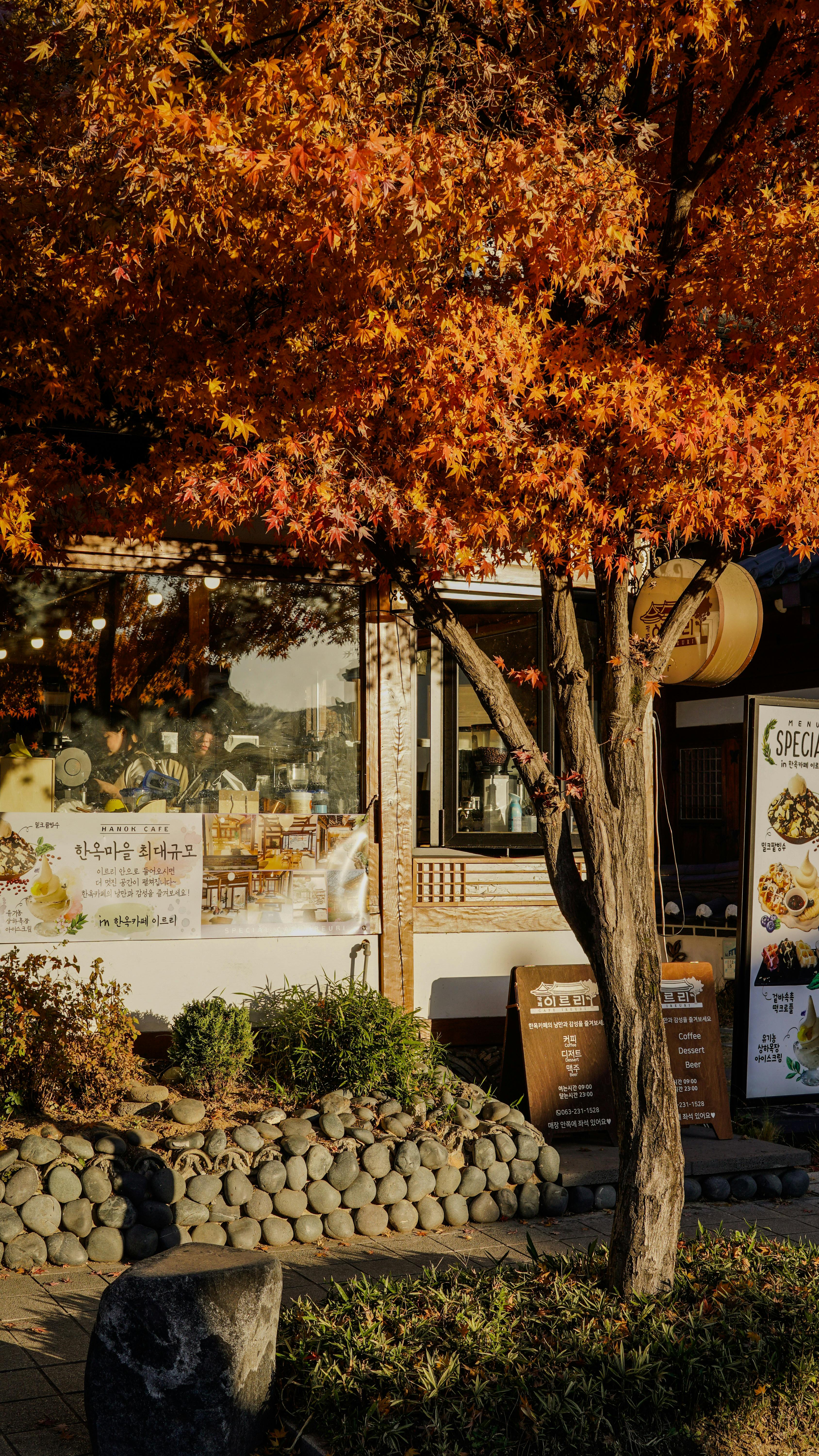 Autumn Cafe Photos, Download The BEST Free Autumn Cafe Stock Photos ...