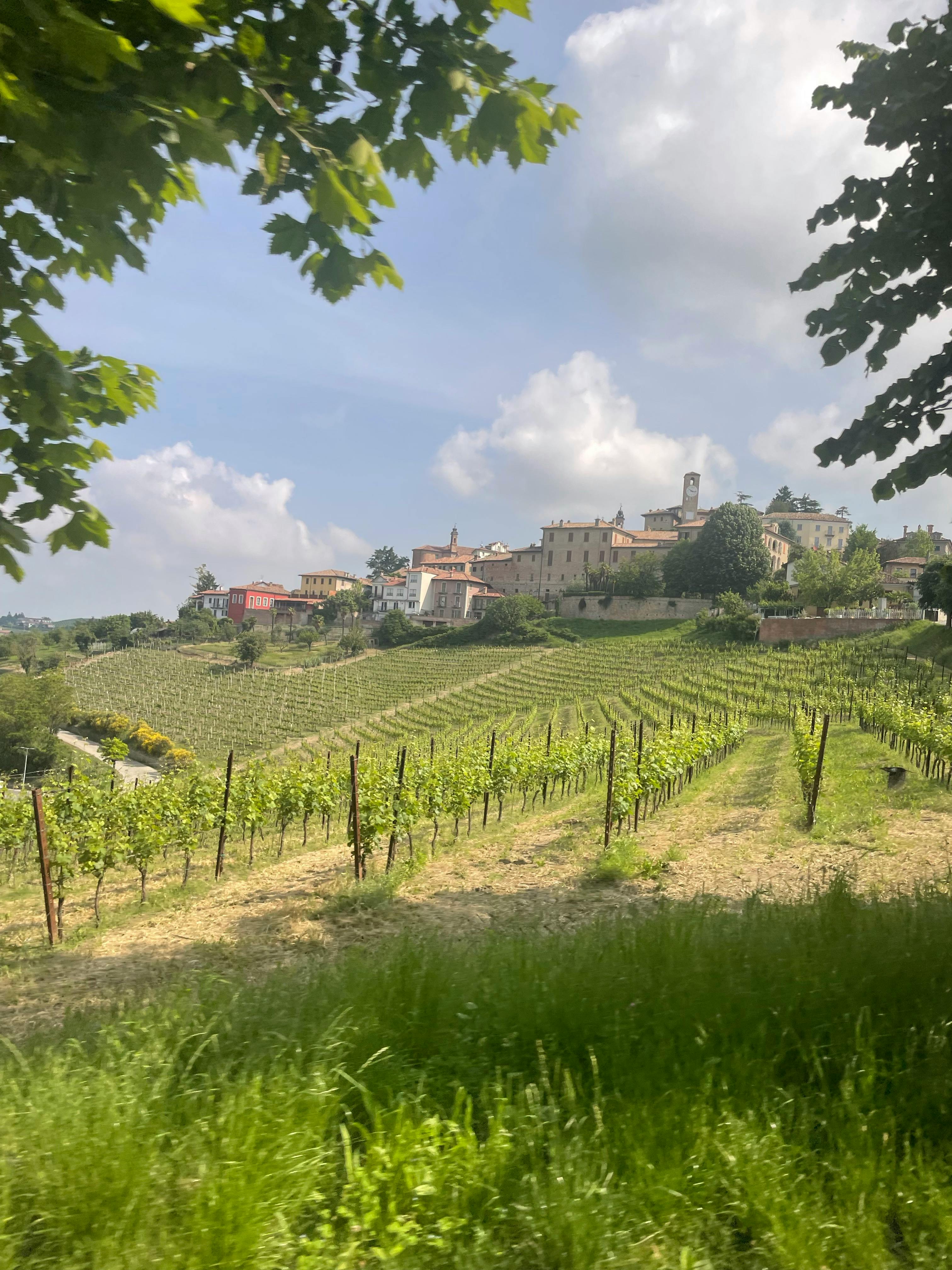 Alyxandra - Photography