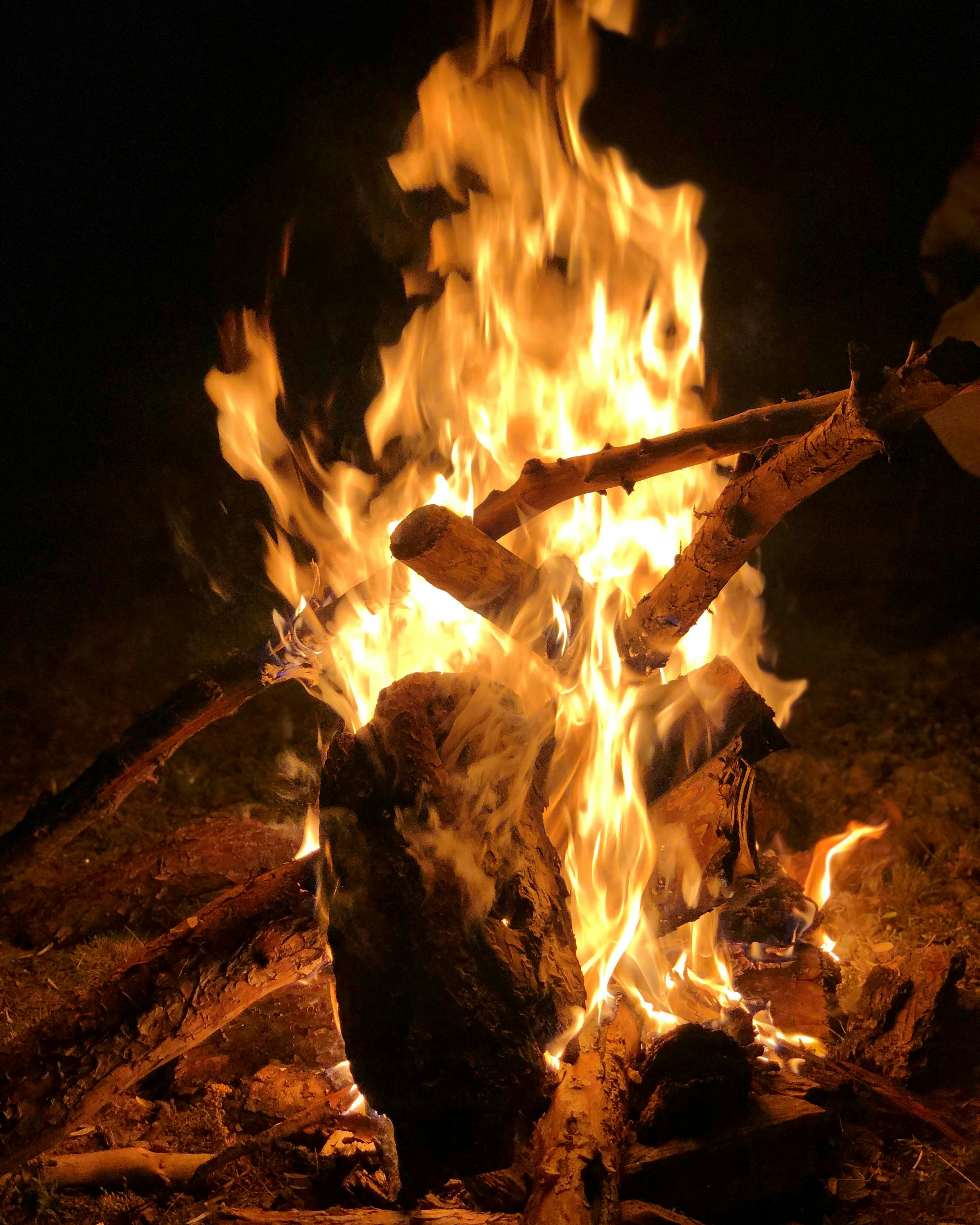 Orange Fire · Free Stock Photo