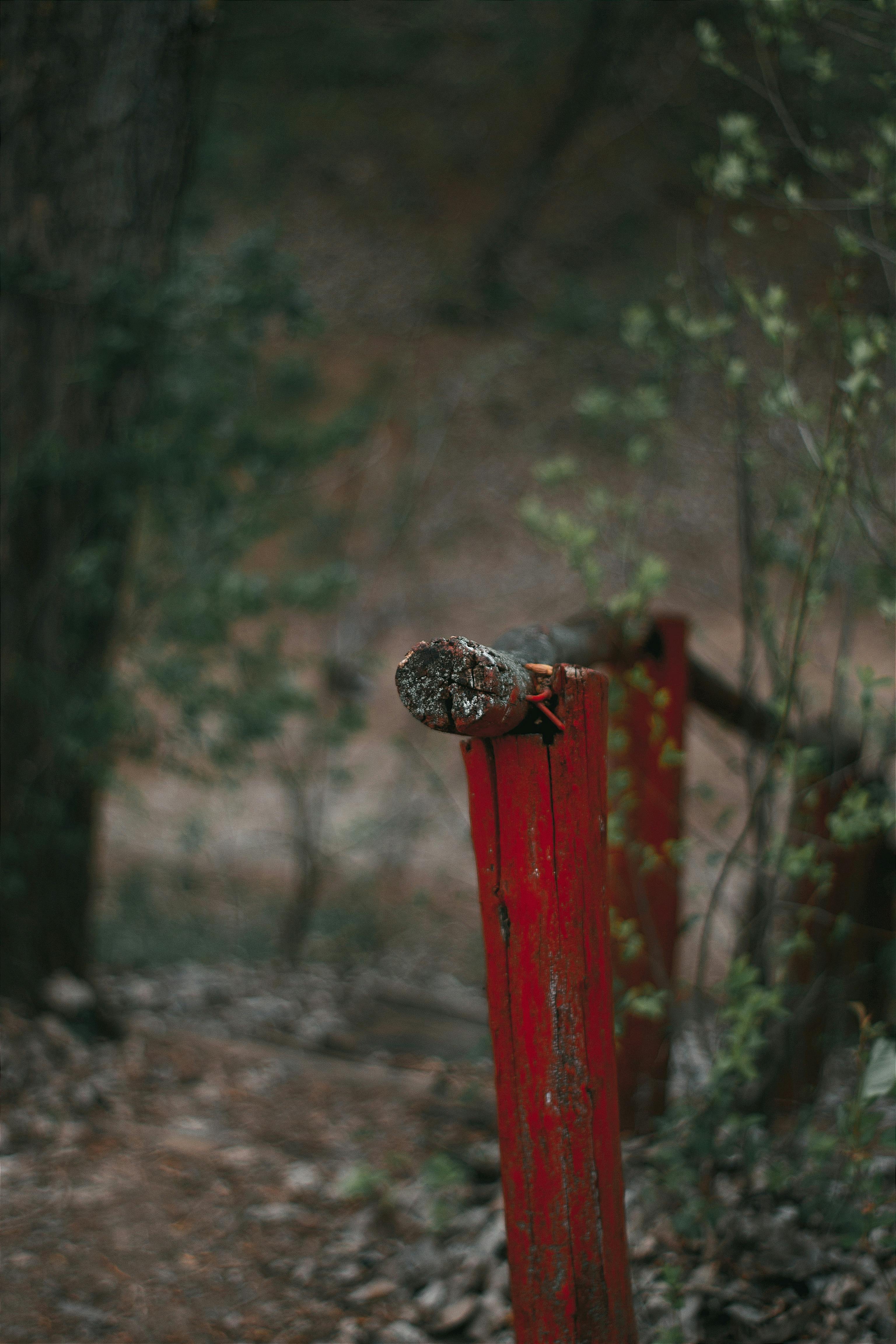 Weathered Wooden Railing · Free Stock Photo