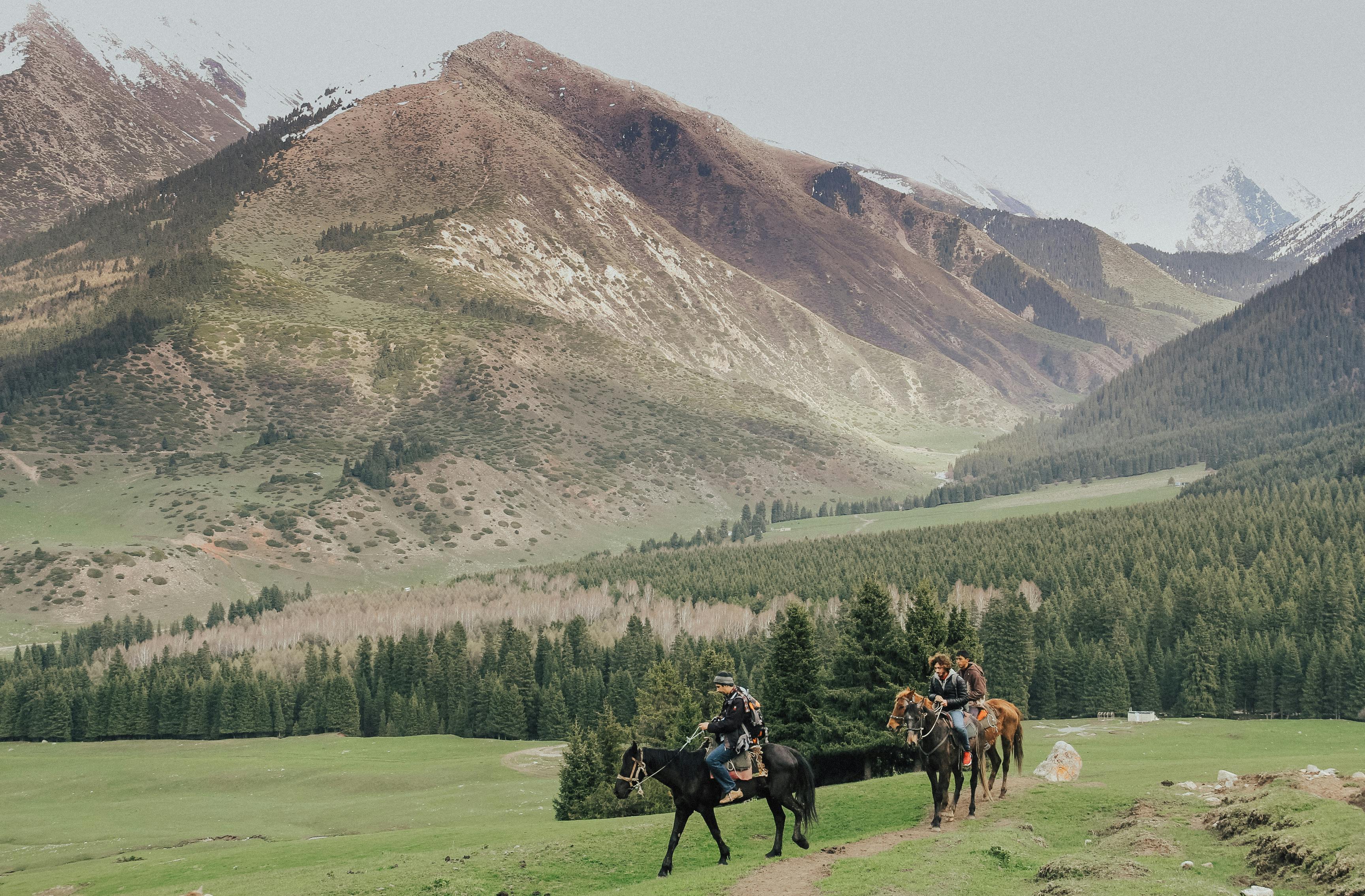 Horseback riding in the mountains of tibet · Free Stock Photo