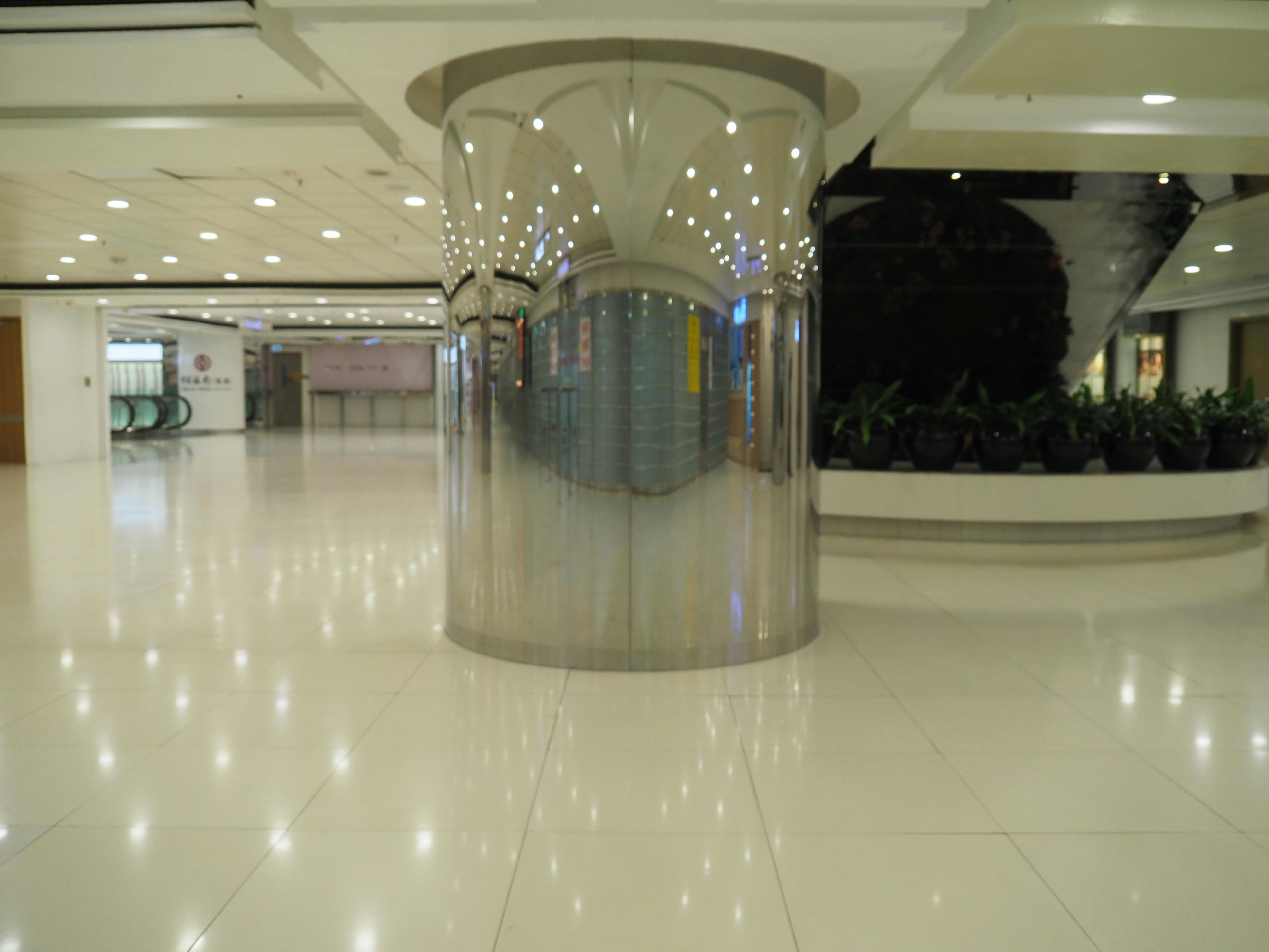 terry narcissan tsui - Photography