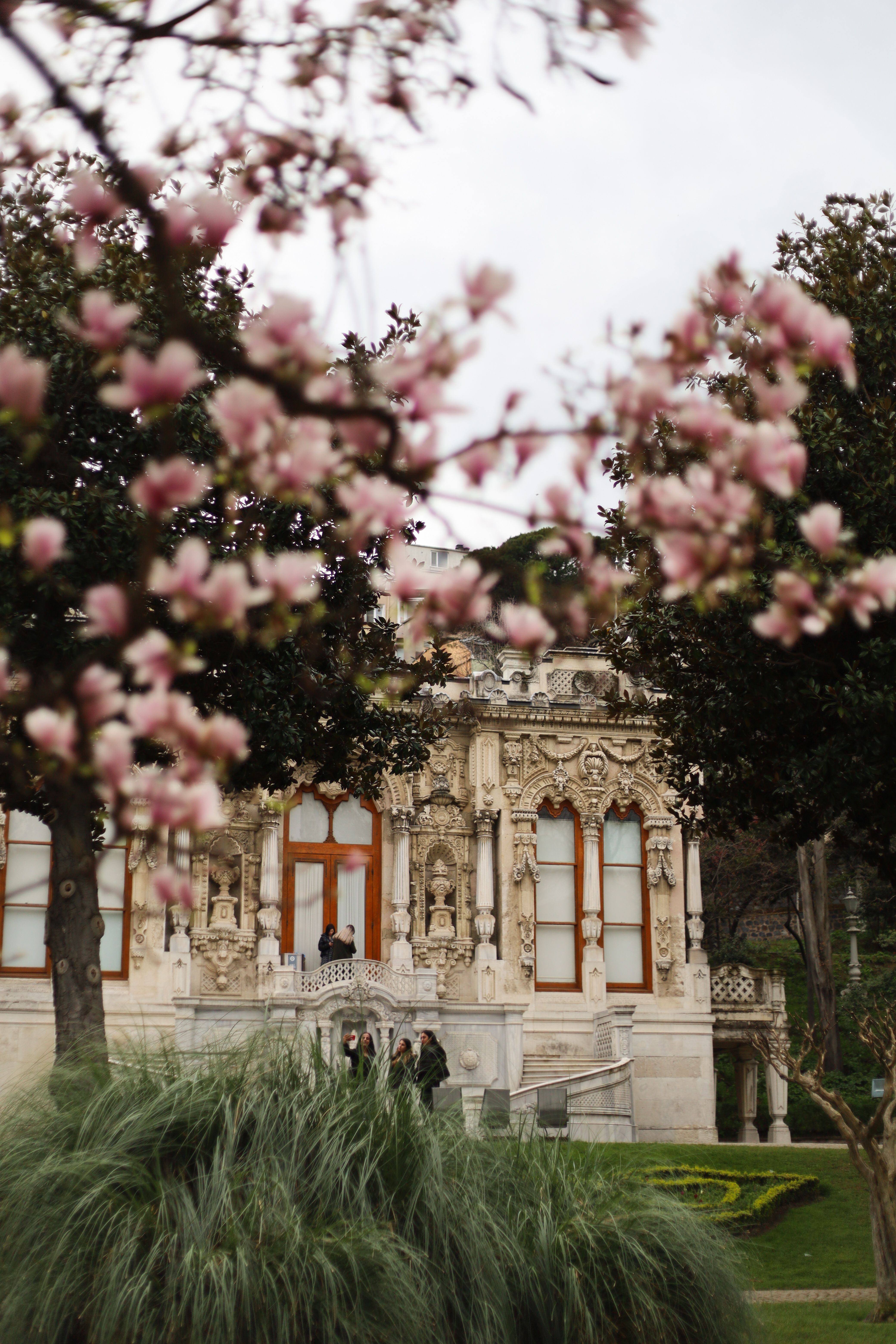 Ihlamur Palace Behind a Blooming Branch of Flowers in Istanbul, Turkey ...