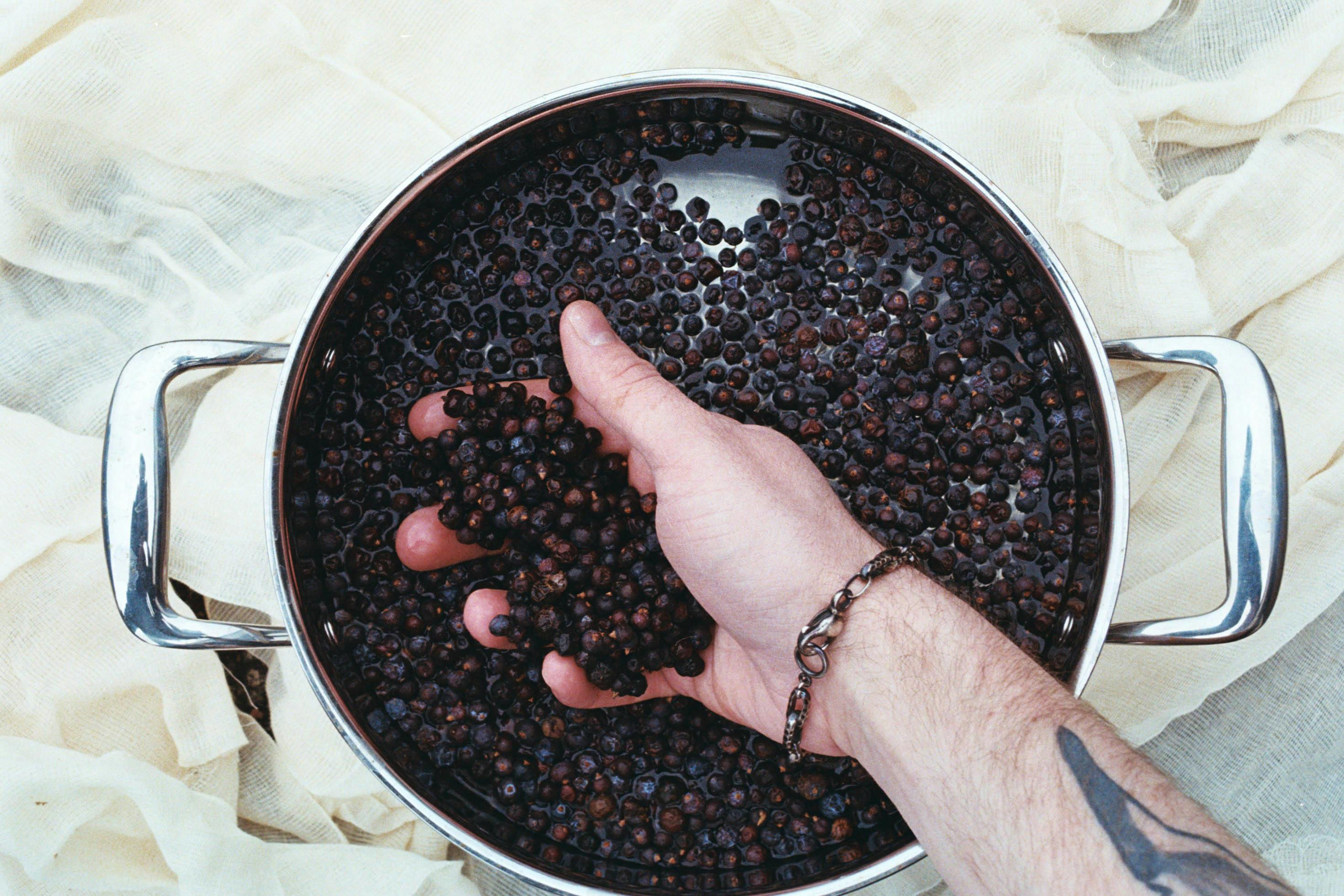 Male Hand Grabbing Berries From a Pot · Free Stock Photo
