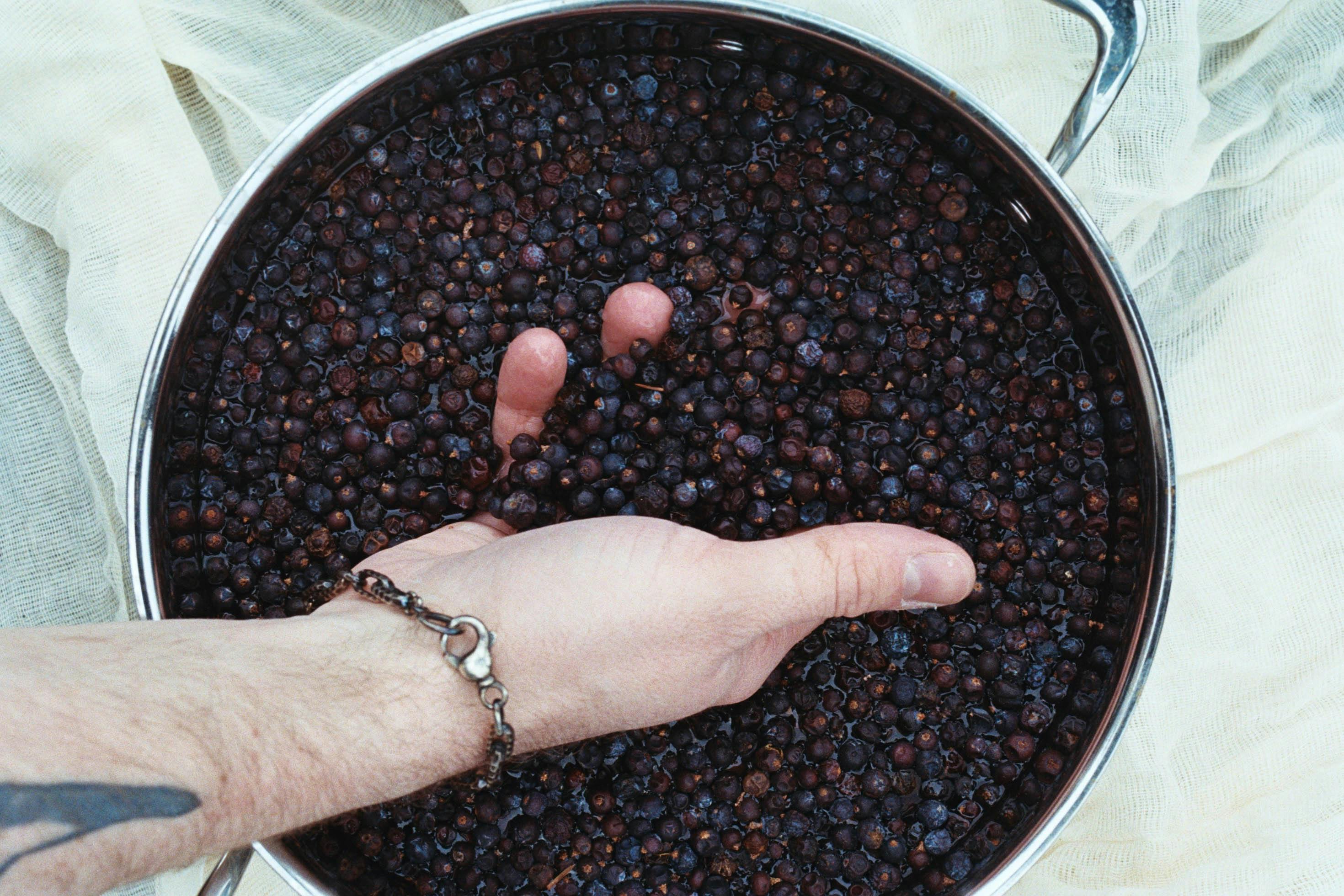 Washing Up Photos Photos, Download The BEST Free Washing Up Photos ...