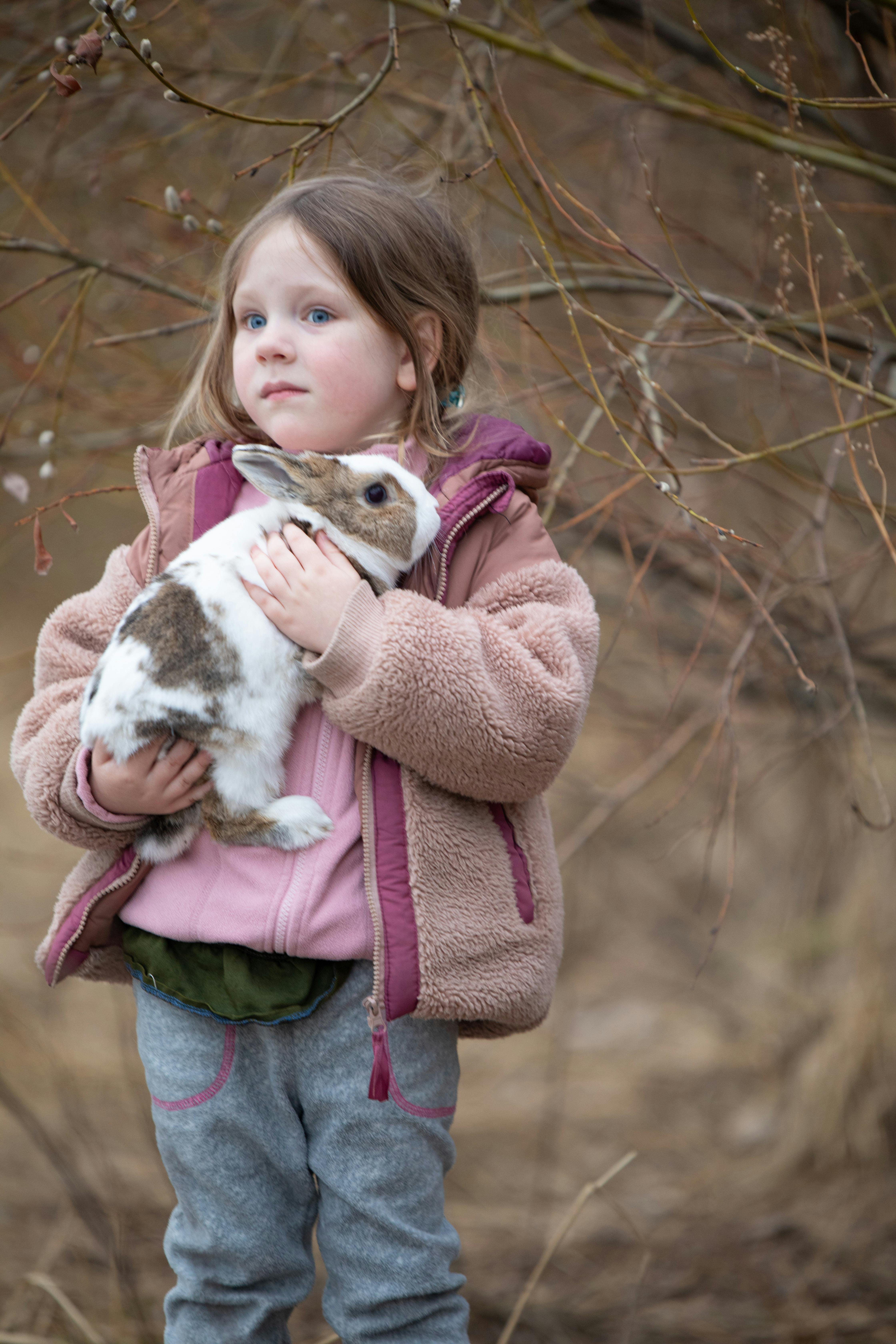 A little girl holding a rabbit in her arms · Free Stock Photo