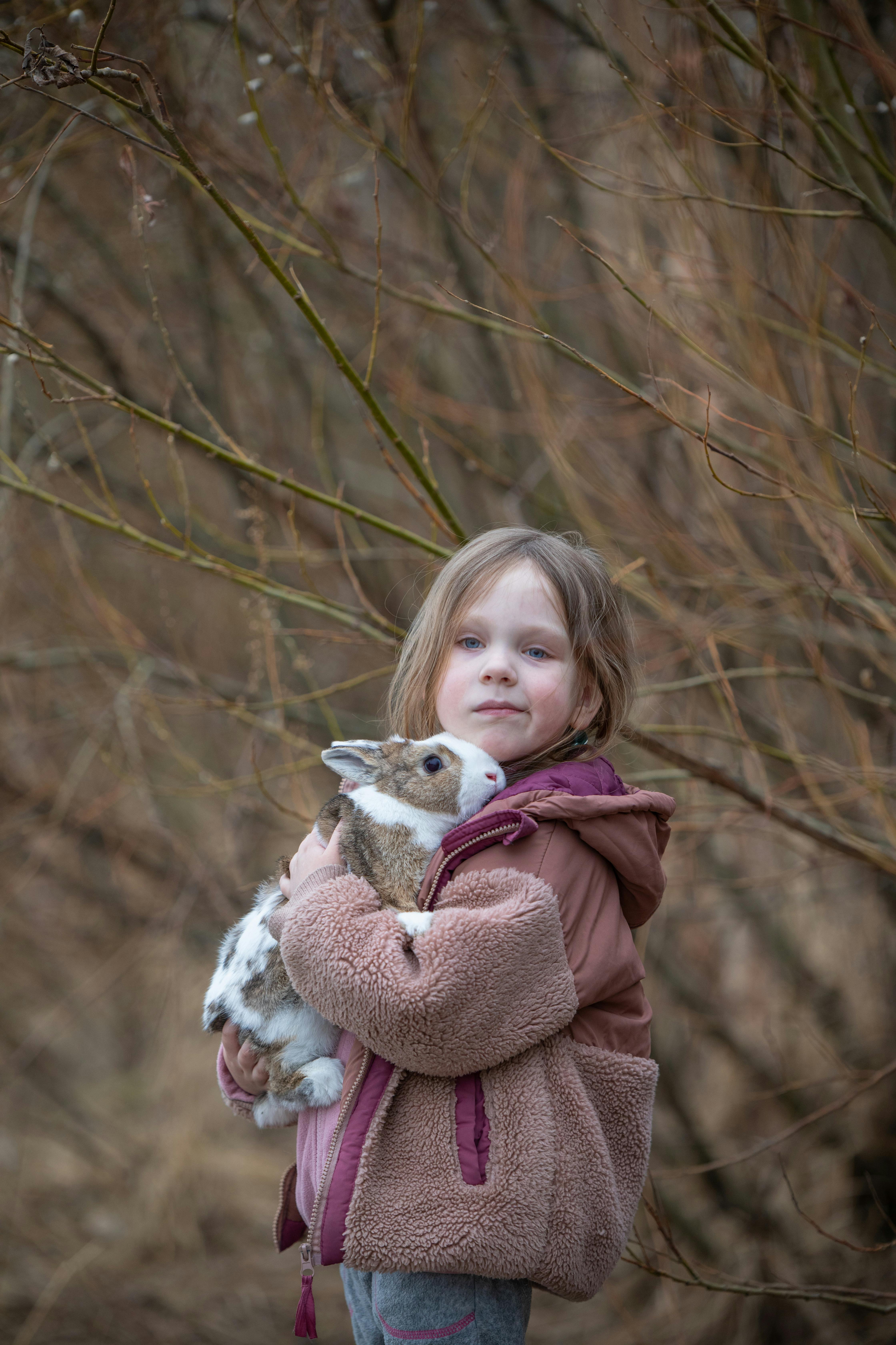 Little Girl Holding a Rabbit by the Shrubs · Free Stock Photo
