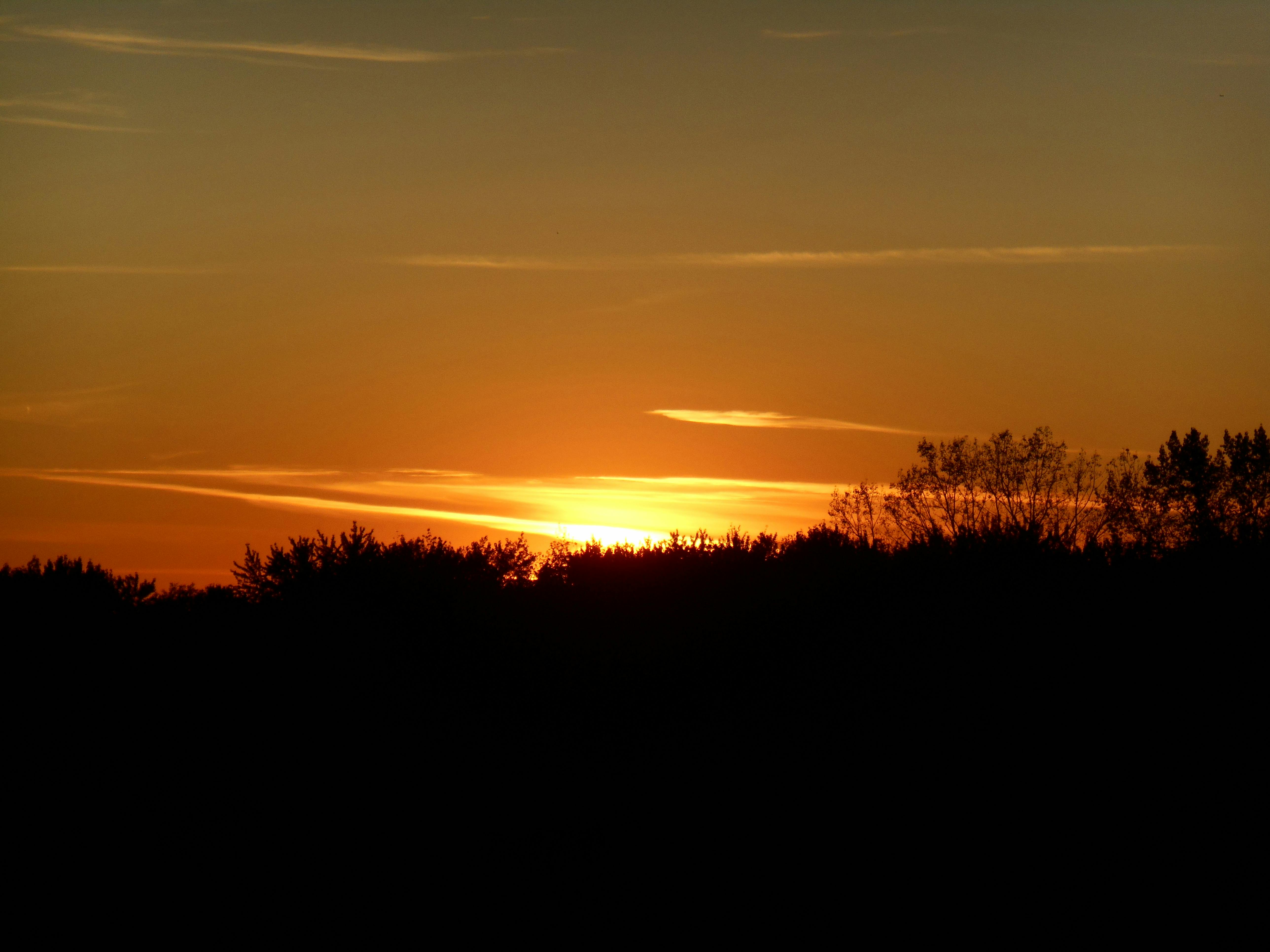 Daniel Absi - Nhiếp ảnh