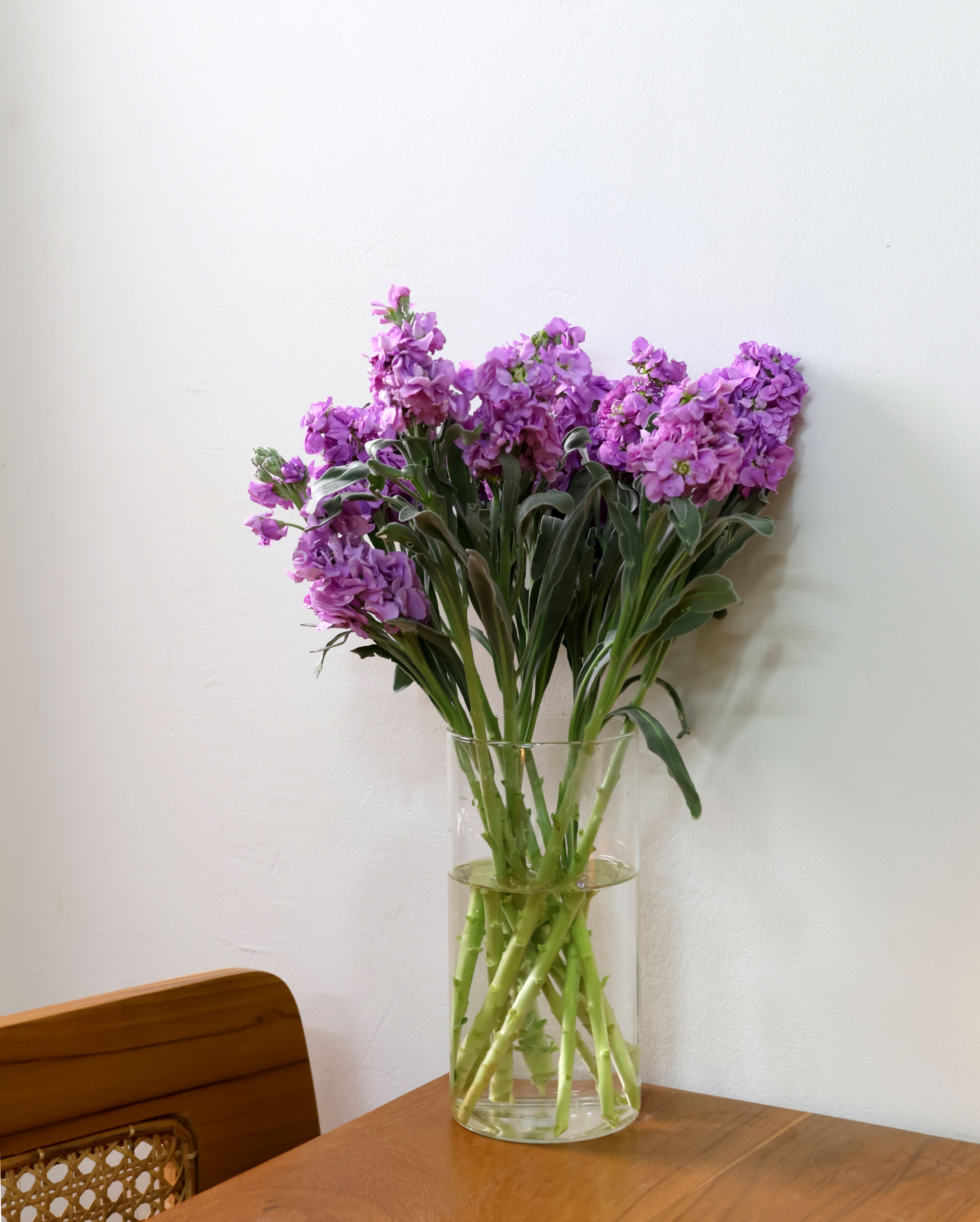 Hoary Stock Flowers in a Vase · Free Stock Photo