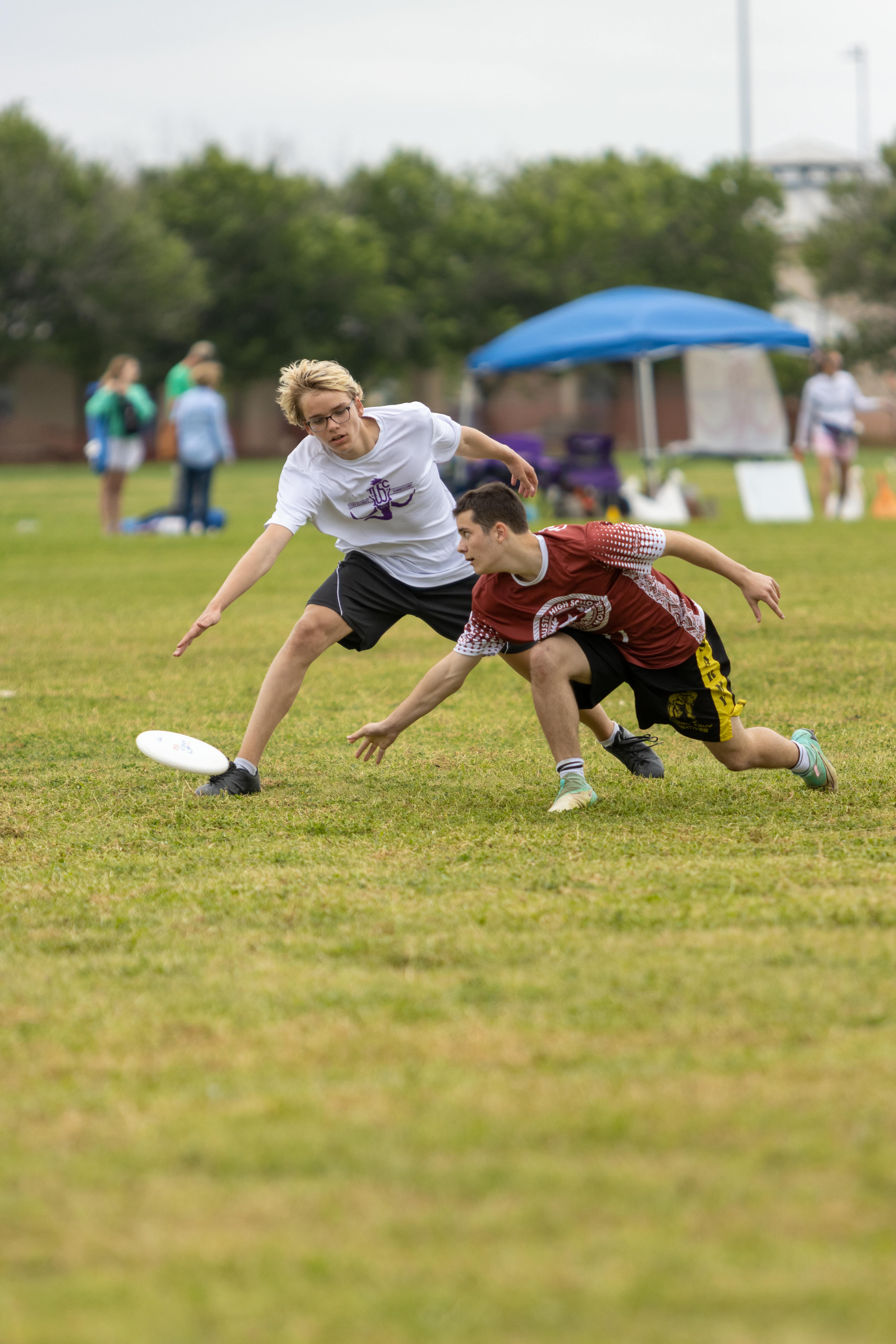 Two Men Fighting over a frisbee in a Game · Free Stock Photo