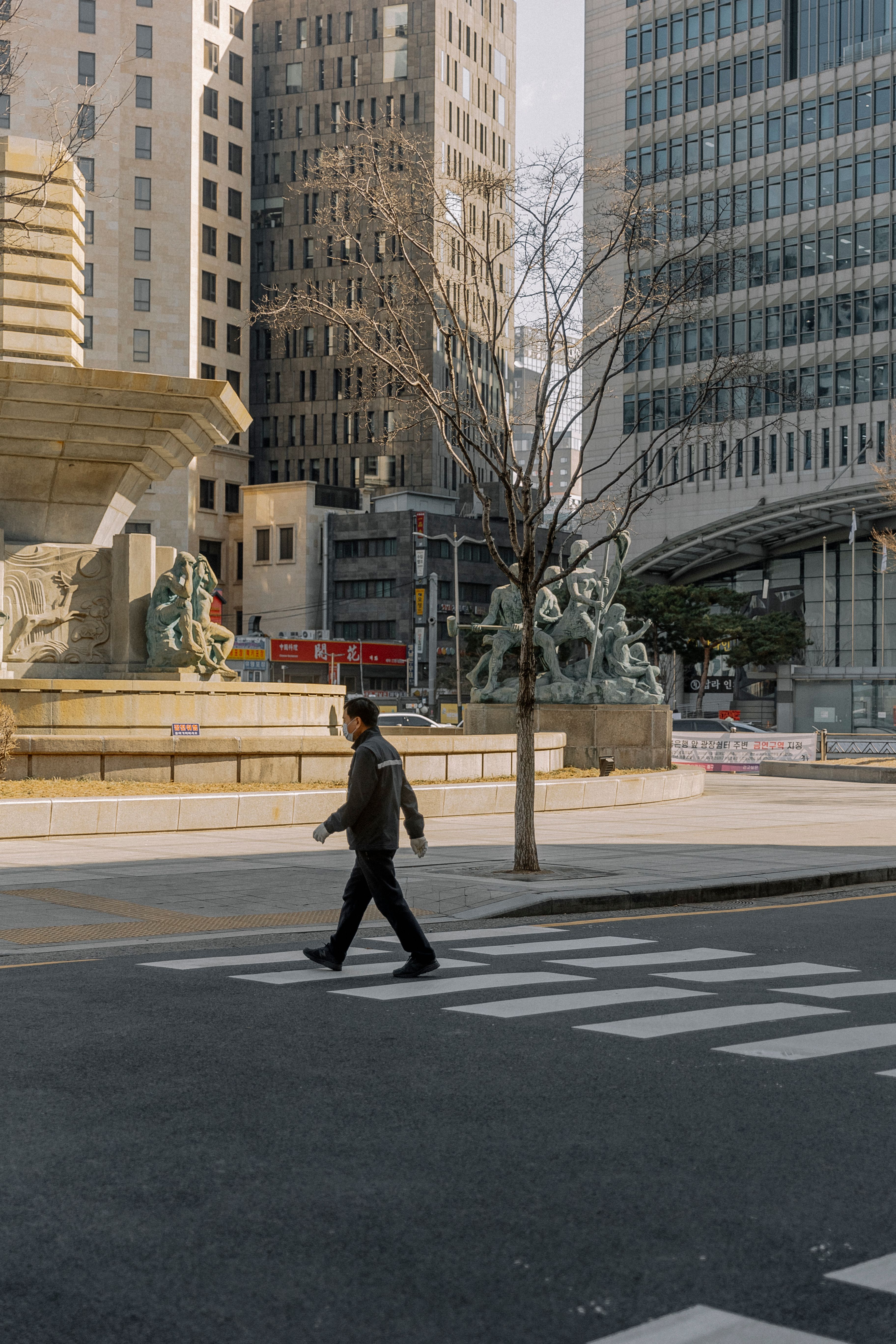 Man Crossing the Street · Free Stock Photo