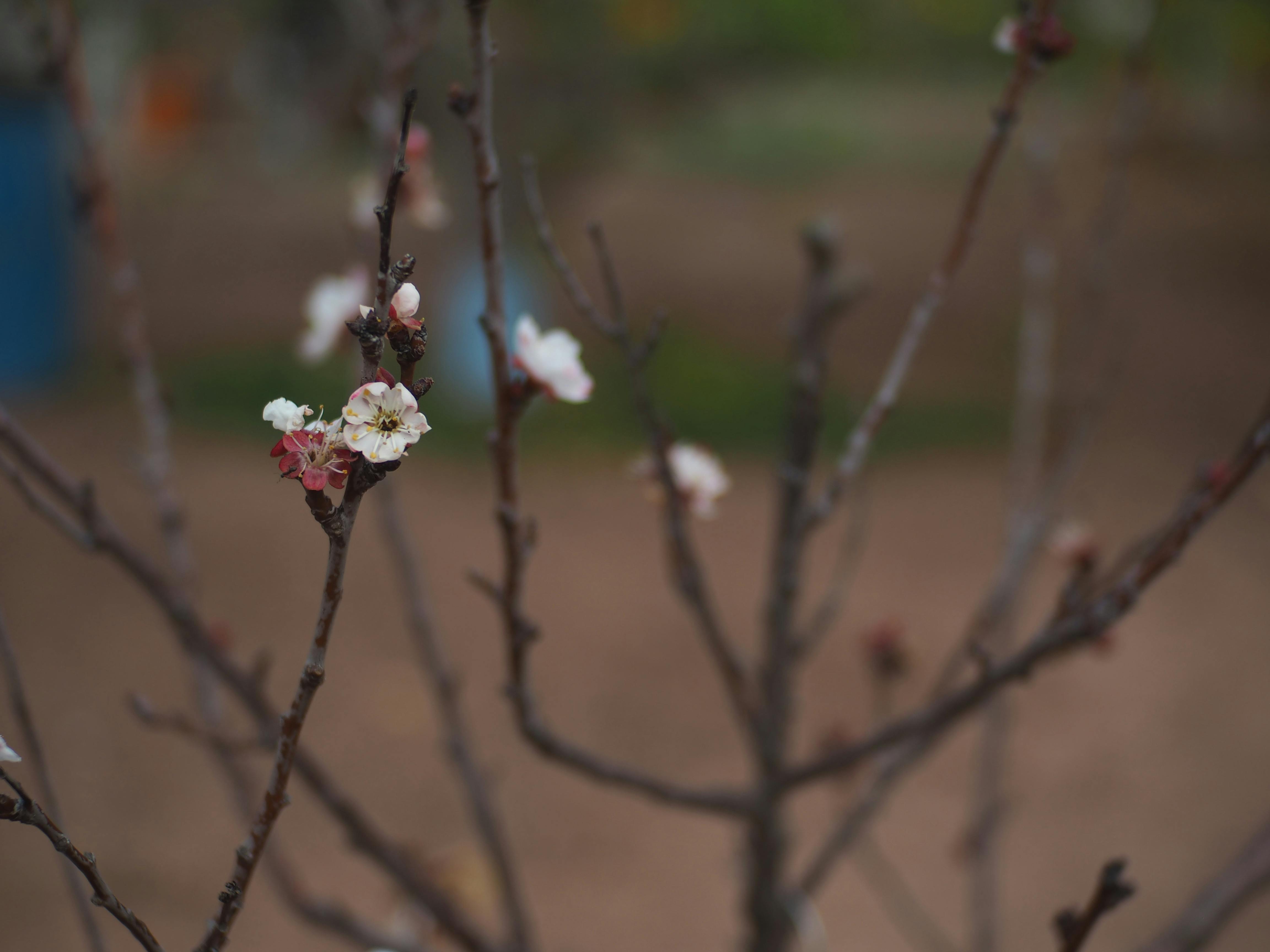Maria Soler - Photographie
