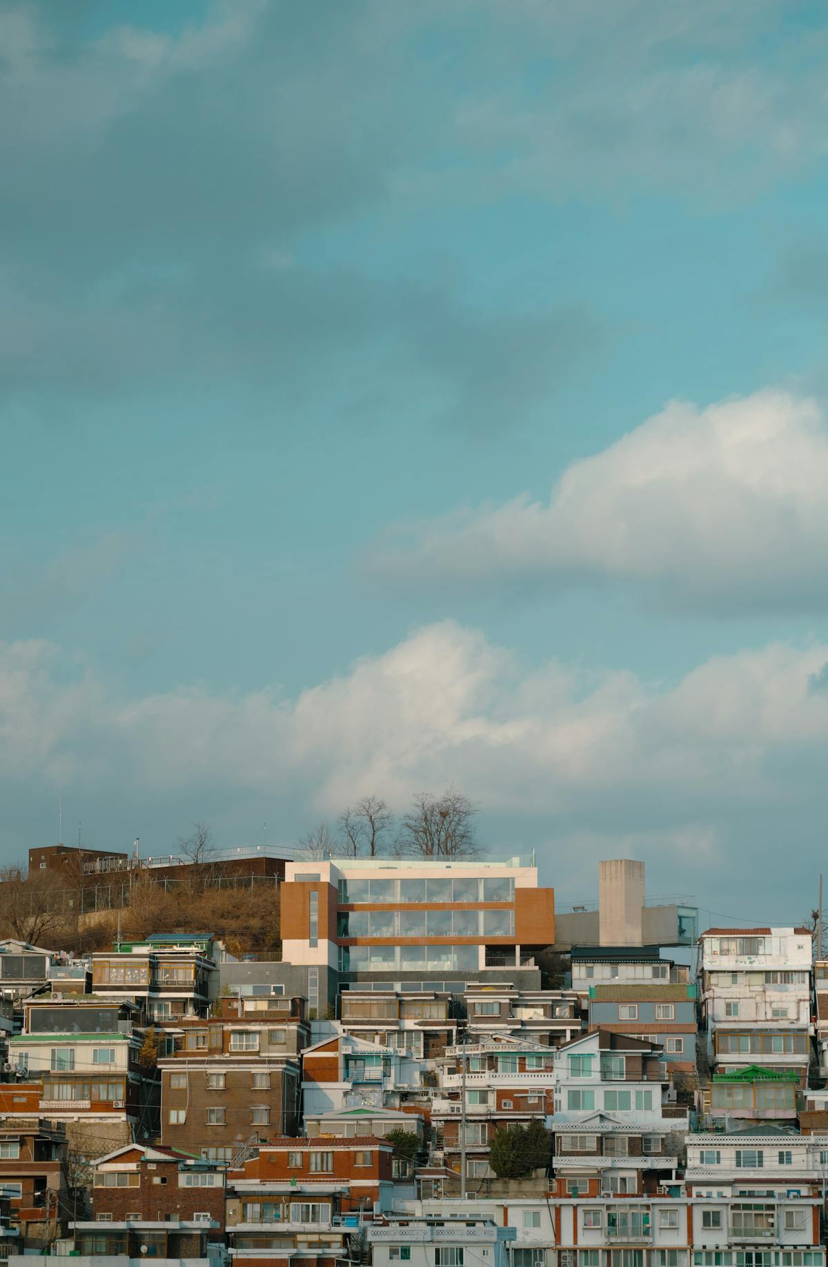 Dense Population Photos, Download The BEST Free Dense Population Stock ...