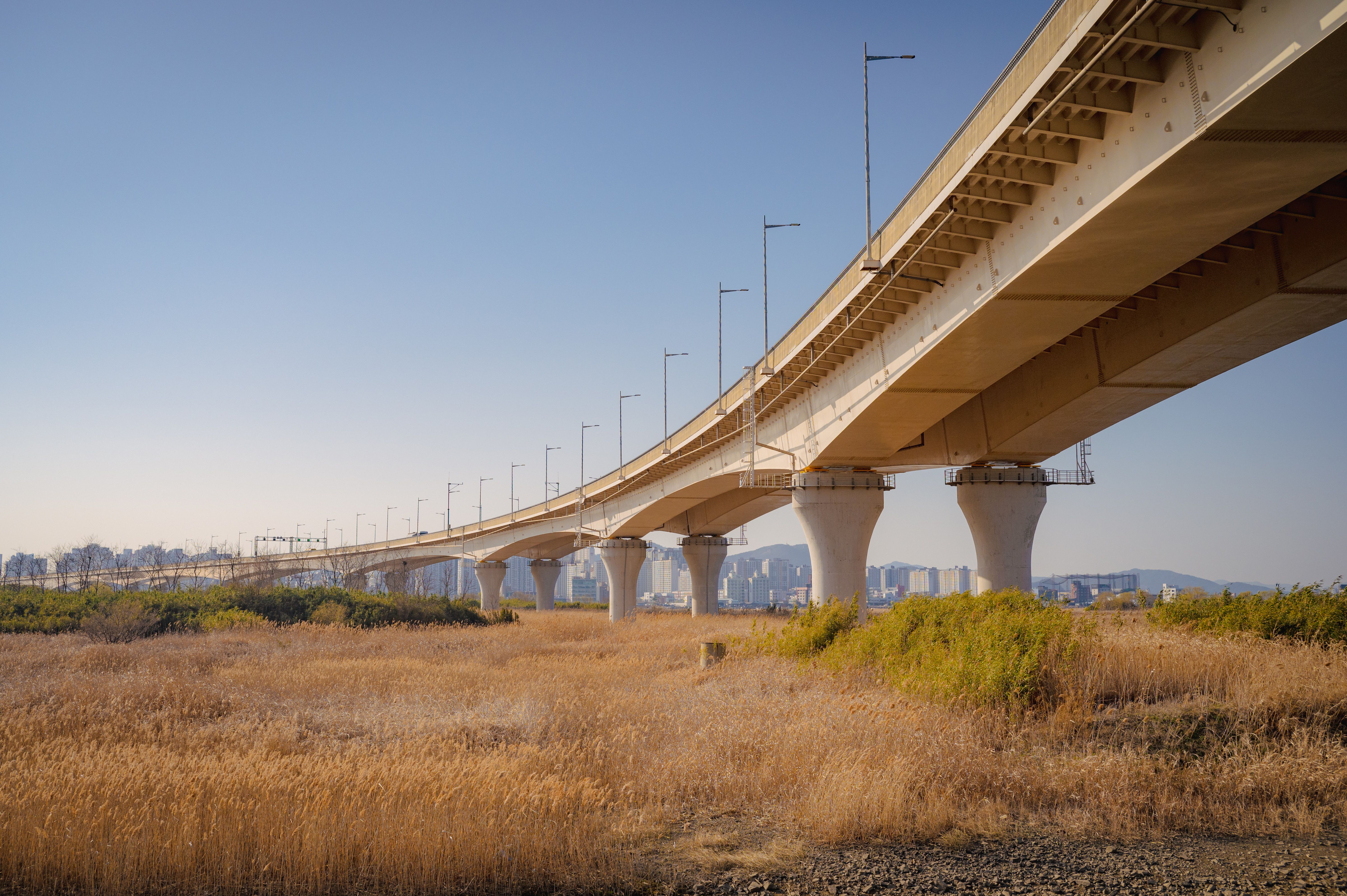 A bridge over a dry field with grass and trees · Free Stock Photo