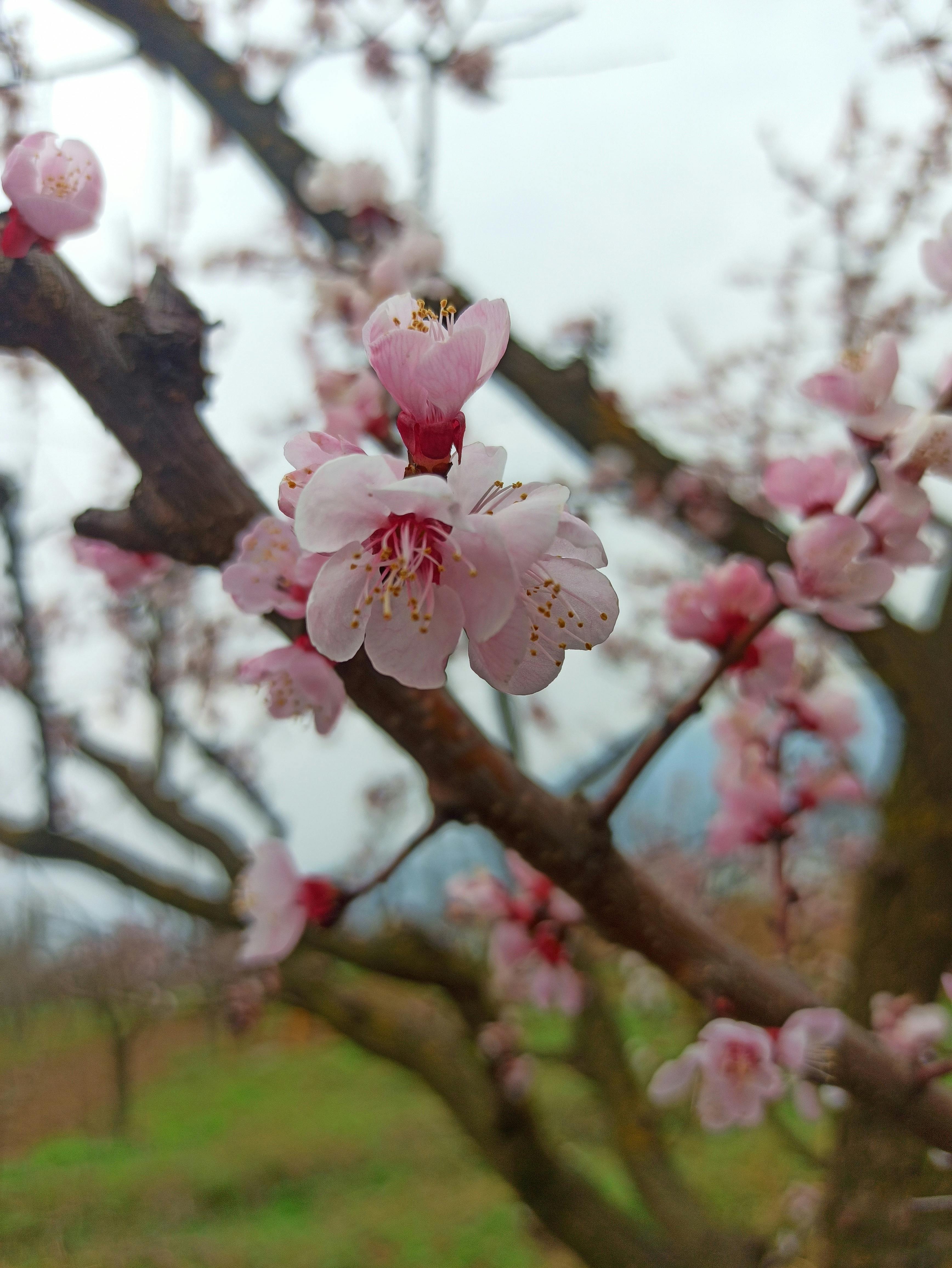 Pexel Captures - Photography