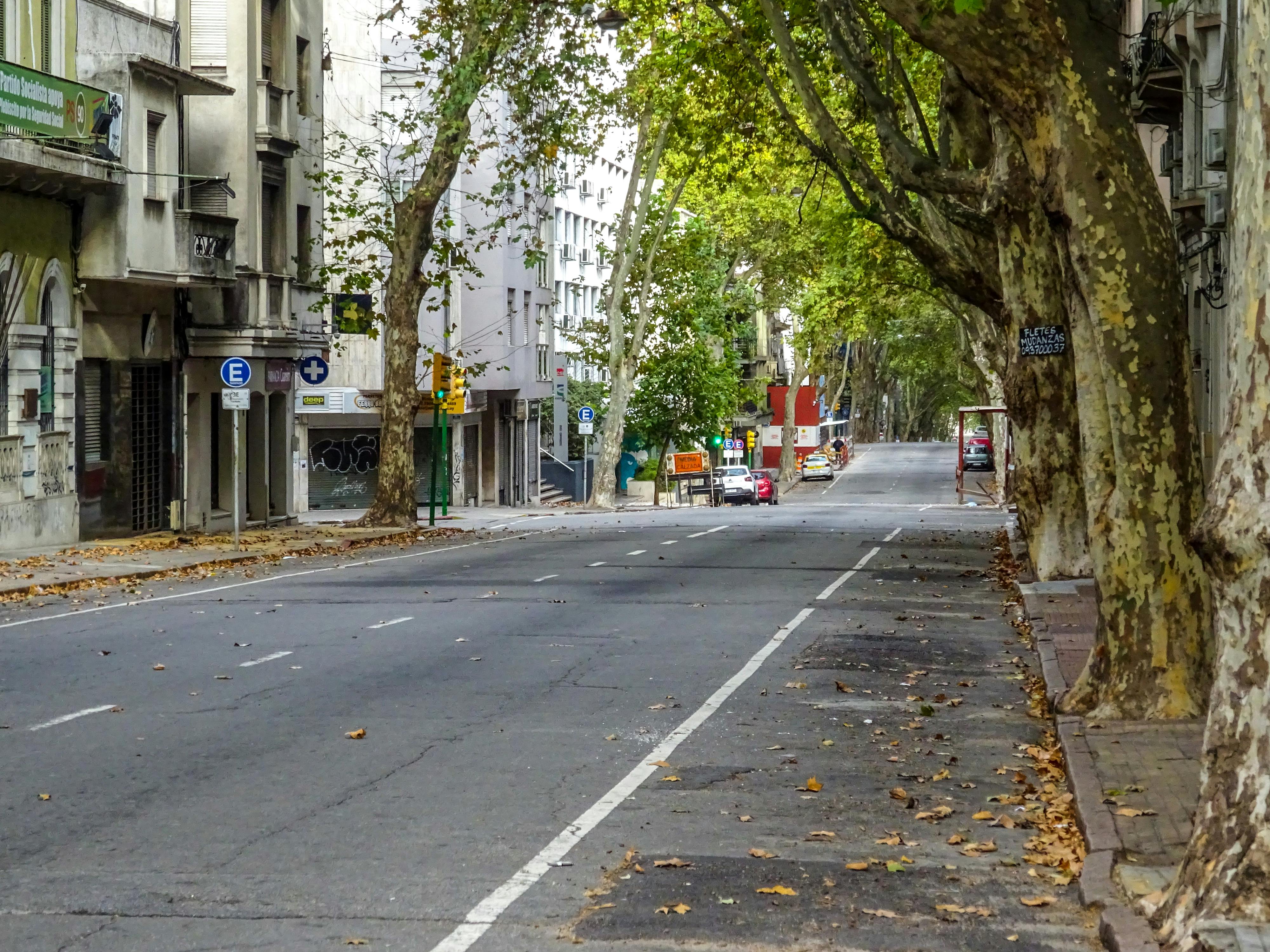 Empty Pantry Photos, Download The BEST Free Empty Pantry Stock Photos ...