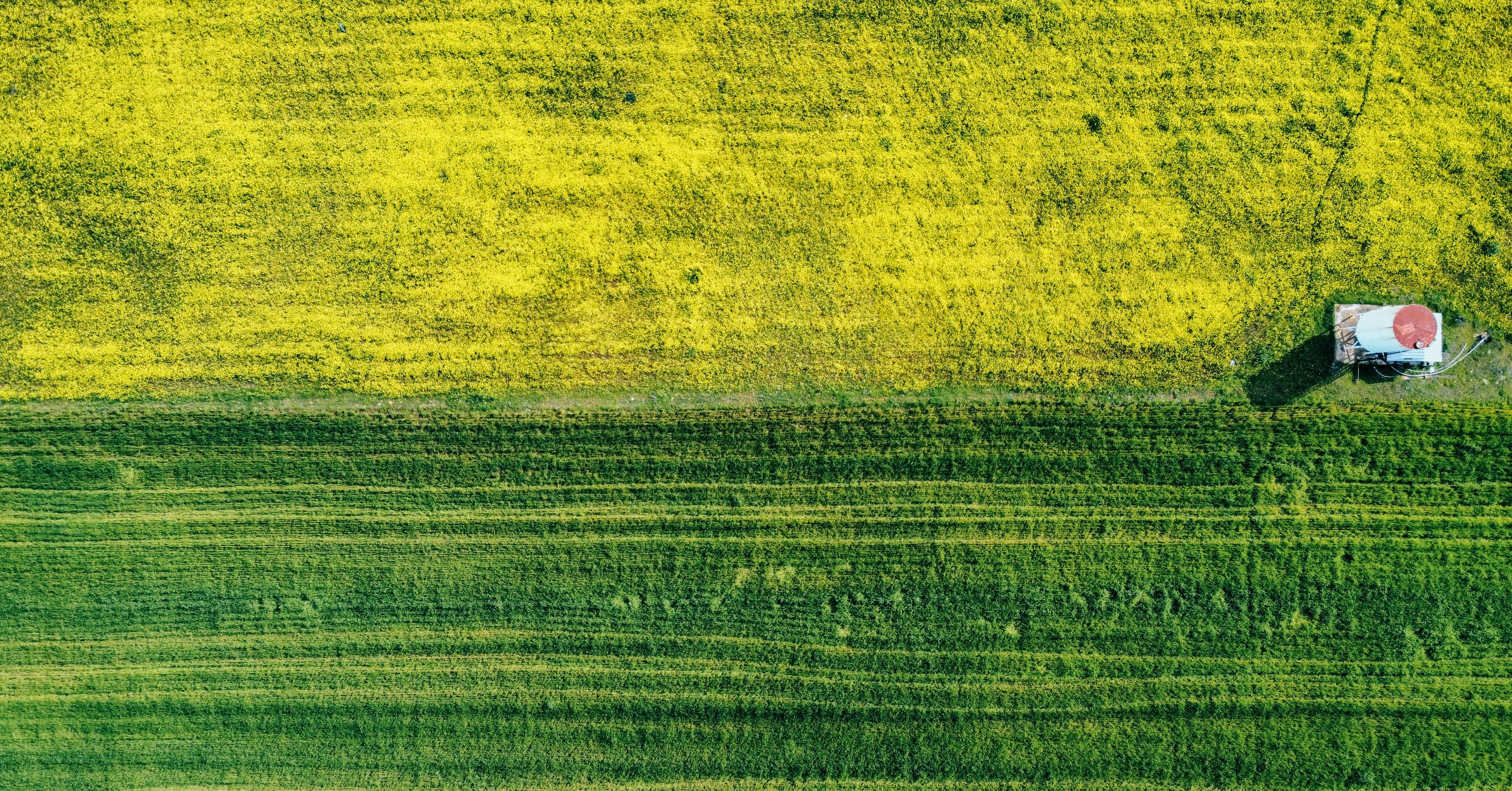 Aerial View of a Silo in a Vast Springtime Meadow · Free Stock Photo