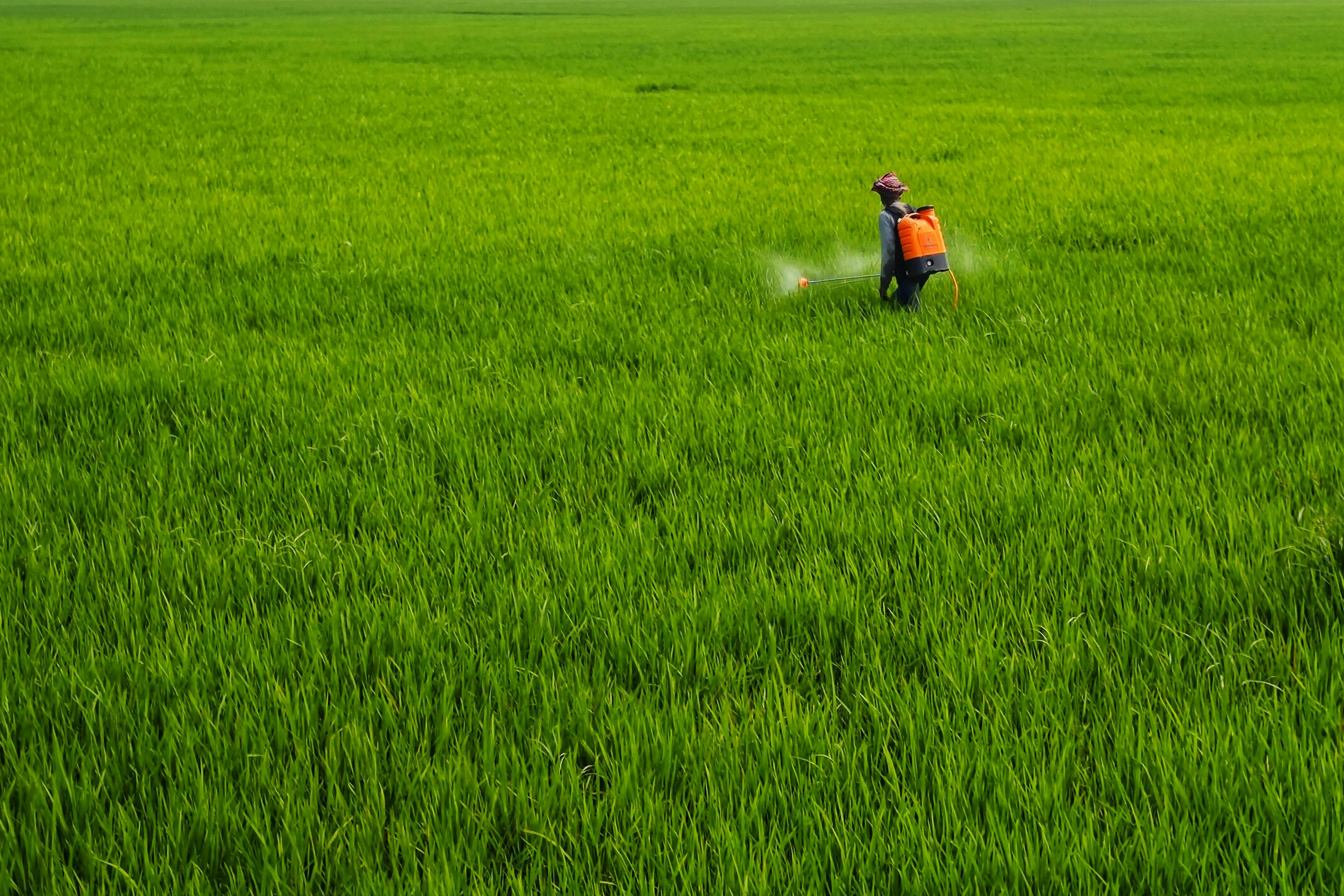 Man Working on a Field · Free Stock Photo