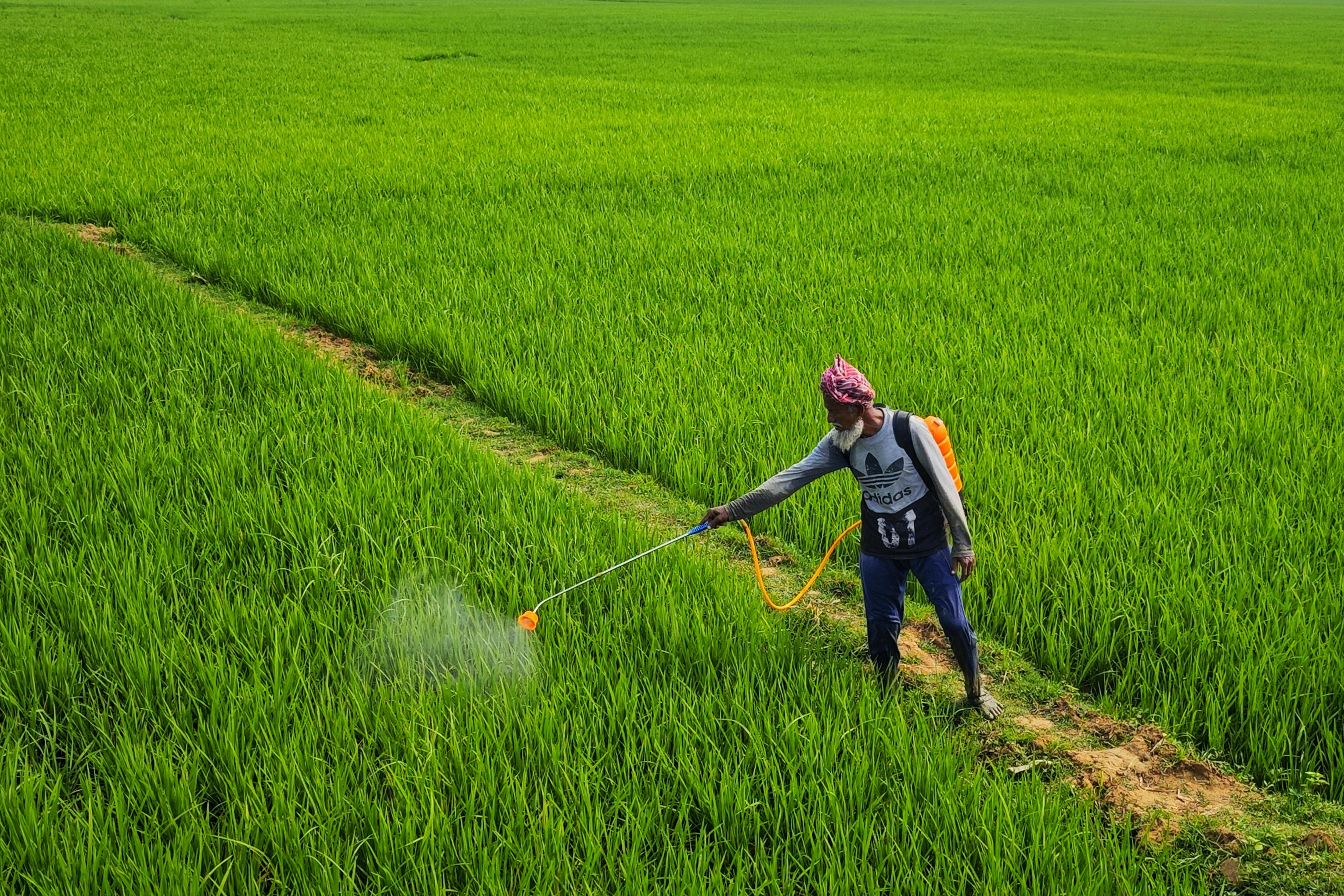 Elderly Man Spraying the Grass Fields · Free Stock Photo
