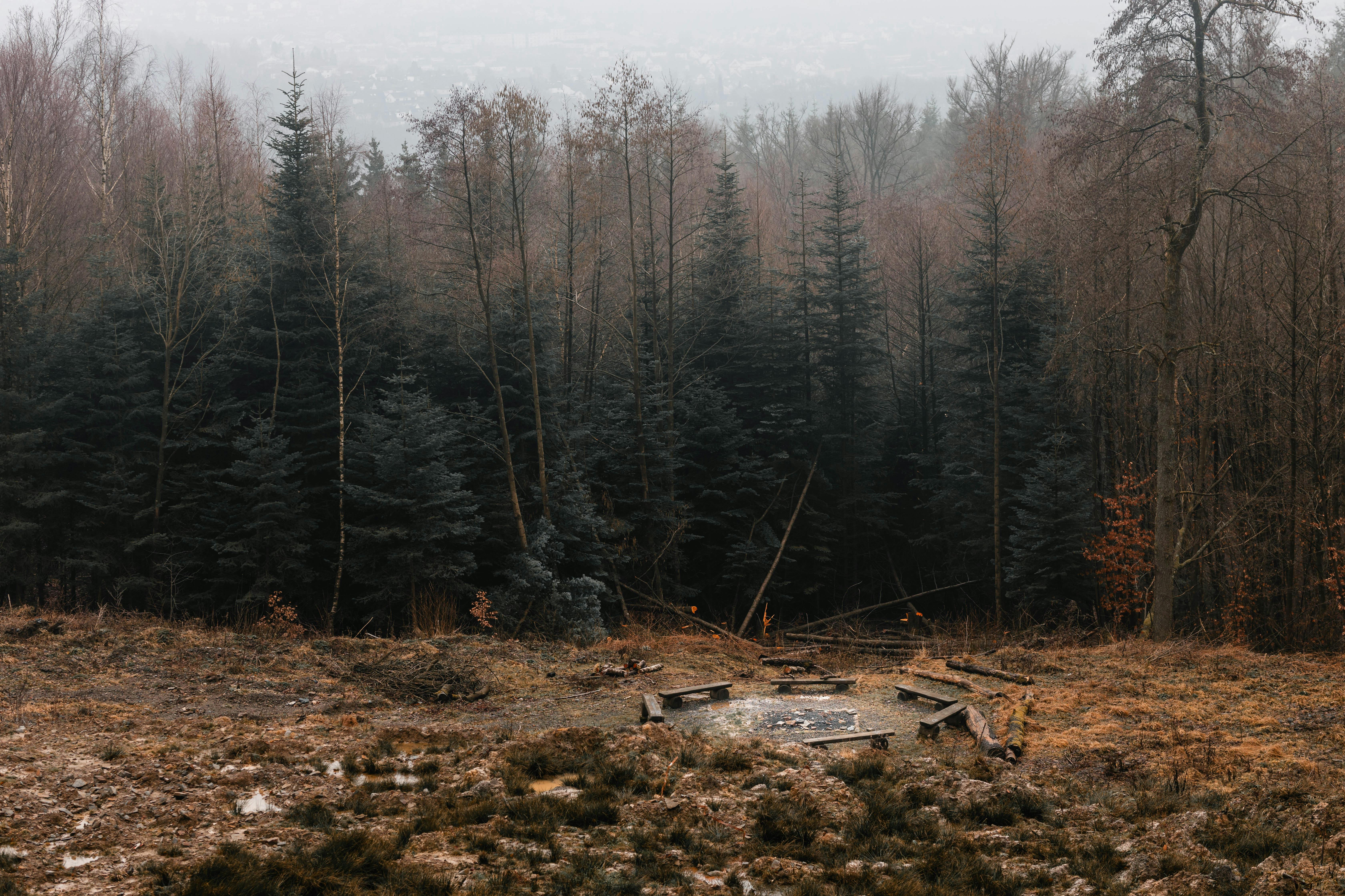 Empty Campfire Photos, Download The BEST Free Empty Campfire Stock ...