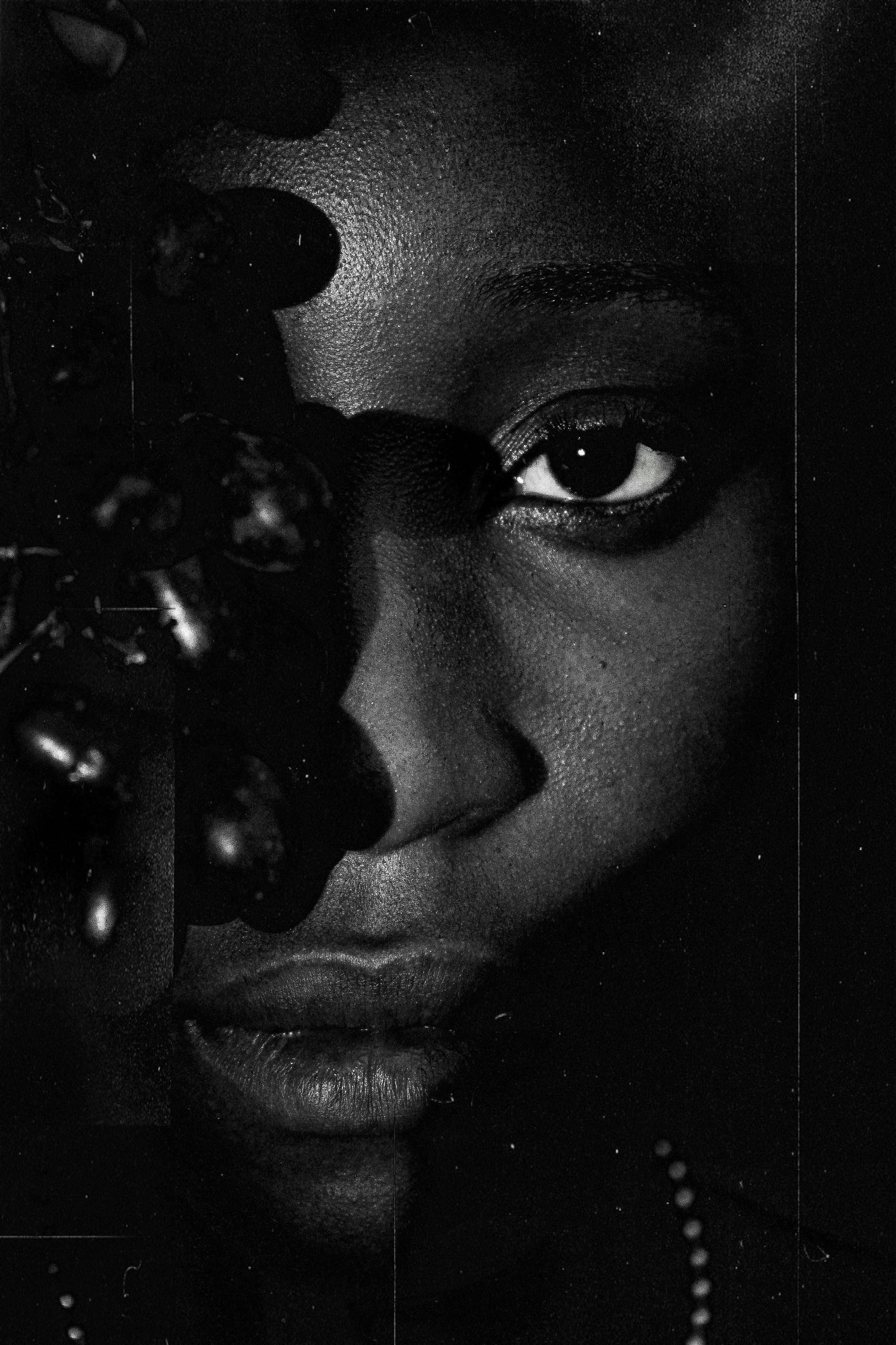 Bioar Photos, Download The BEST Free Bioar Stock Photos & HD Images