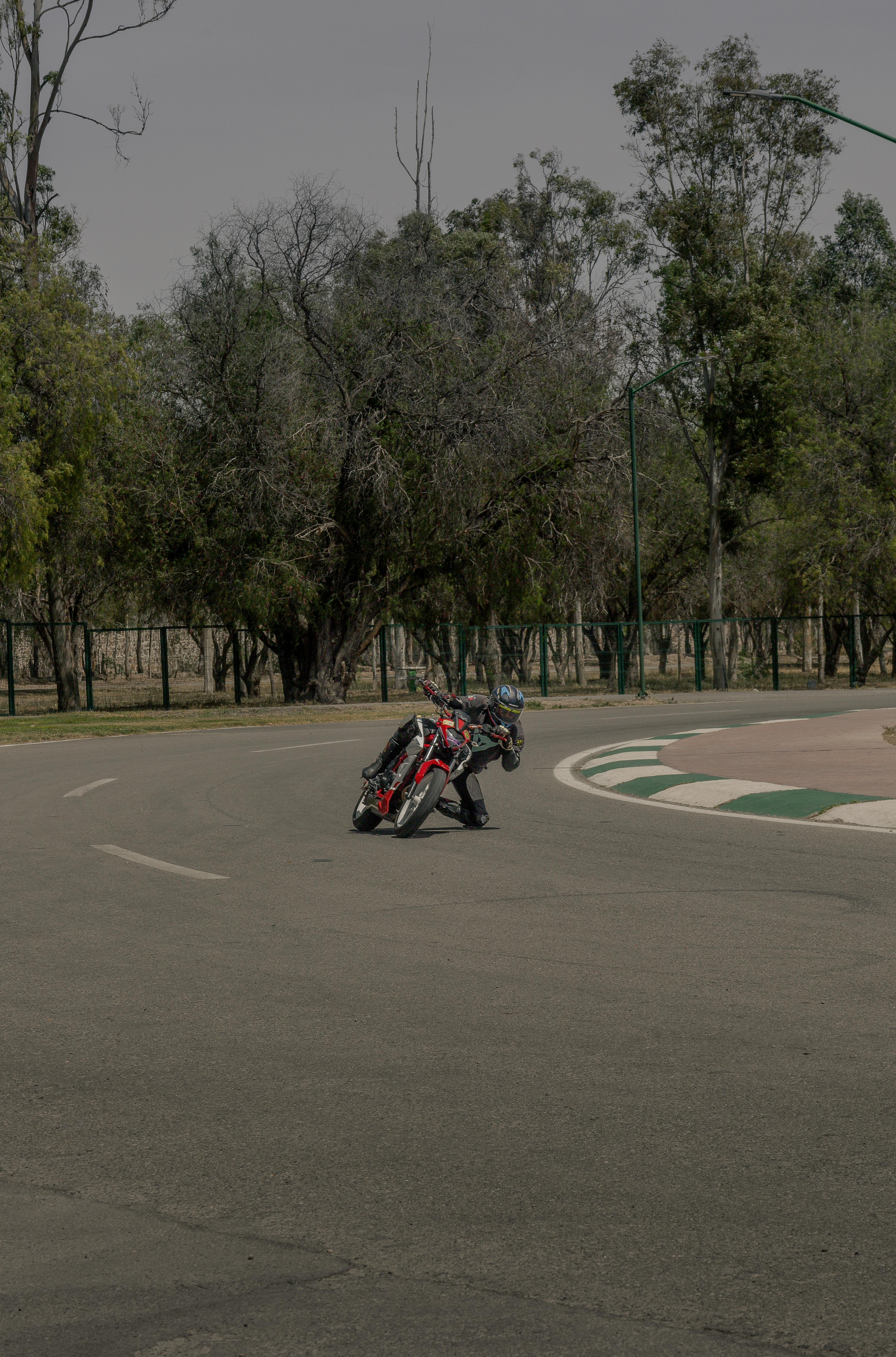 Foto de stock gratuita sobre arboles, asfalto, atracción, bici ...