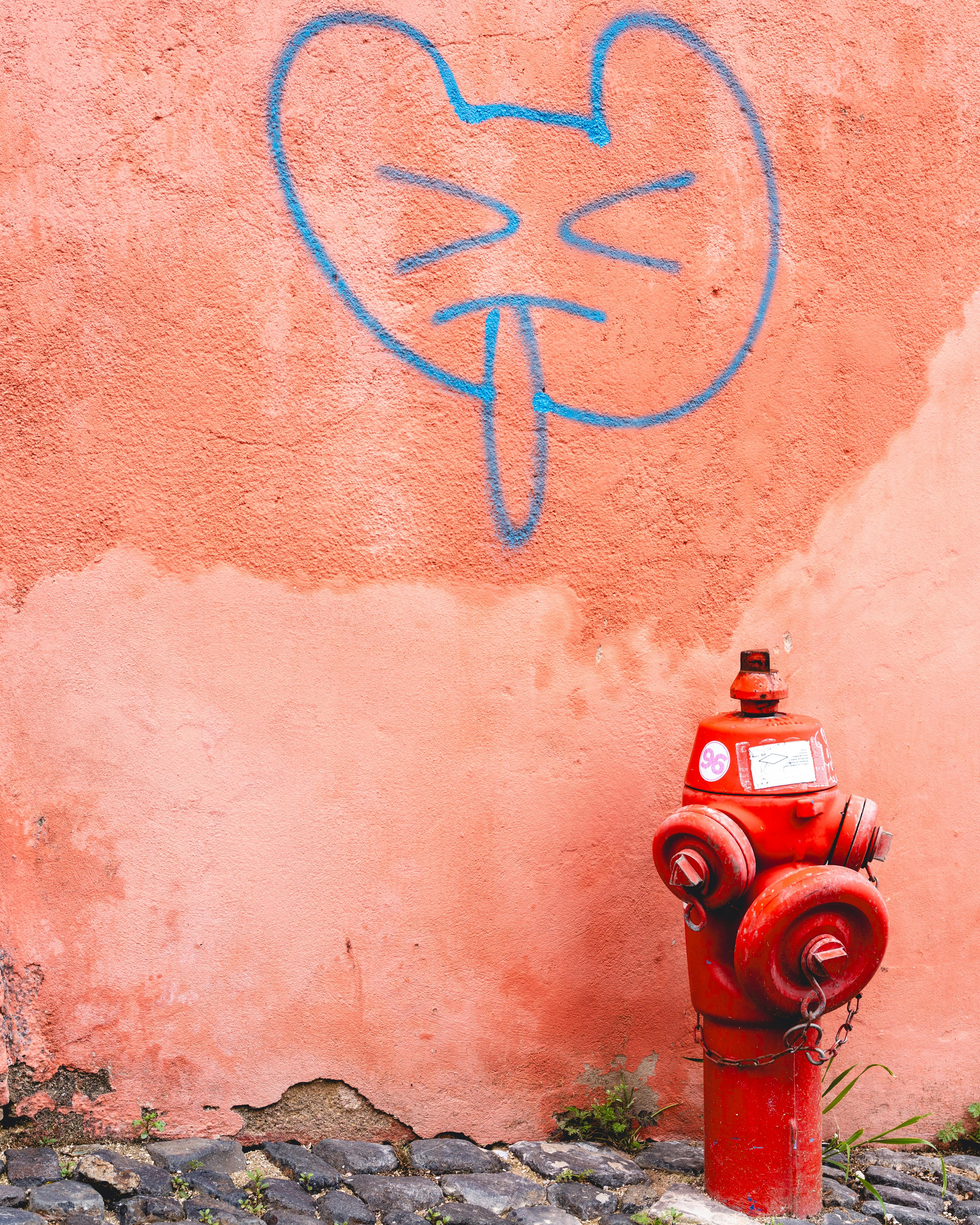 Hydrant in Front of a Wall with Graffiti · Free Stock Photo