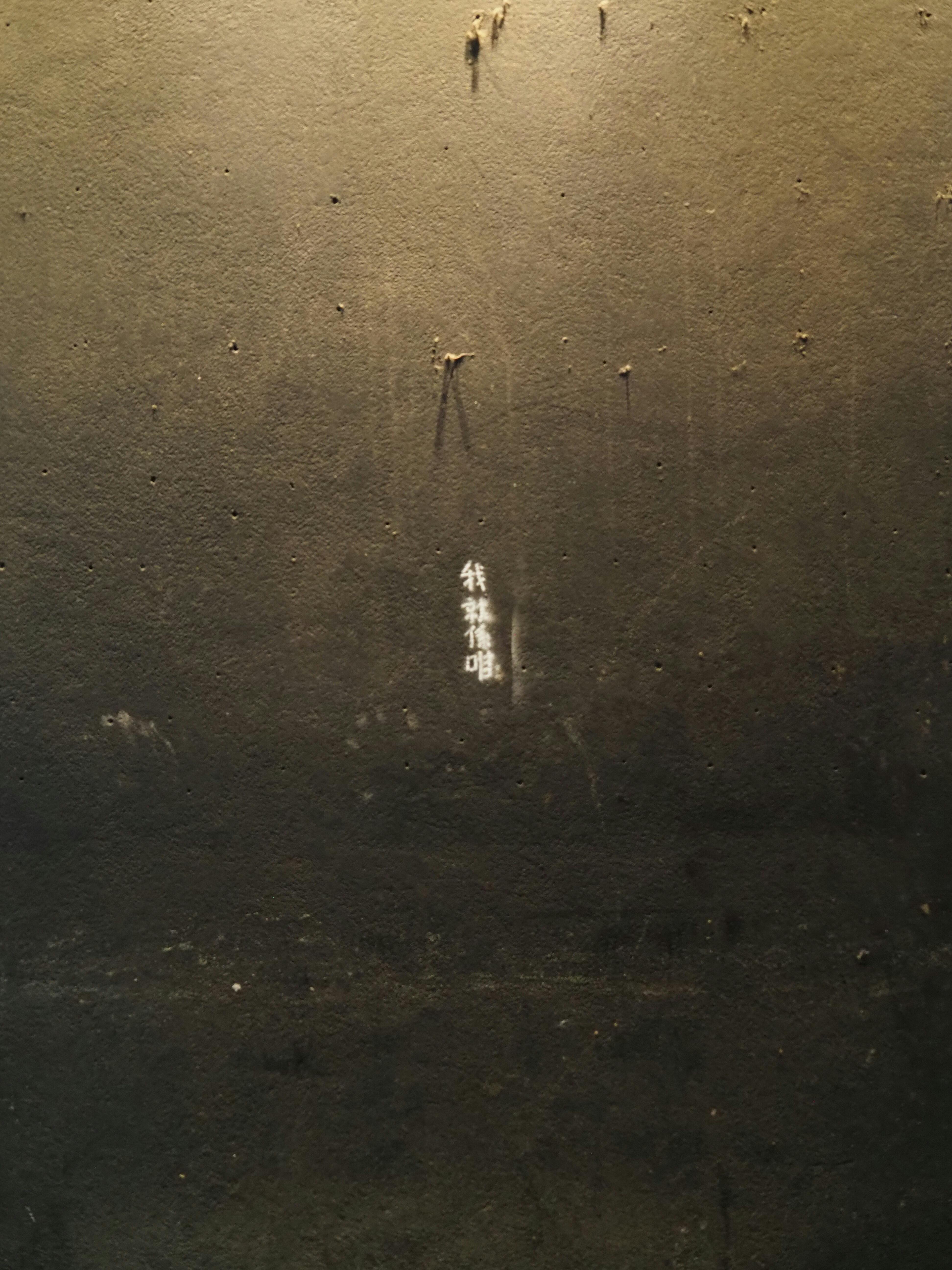 terry narcissan tsui - Photography