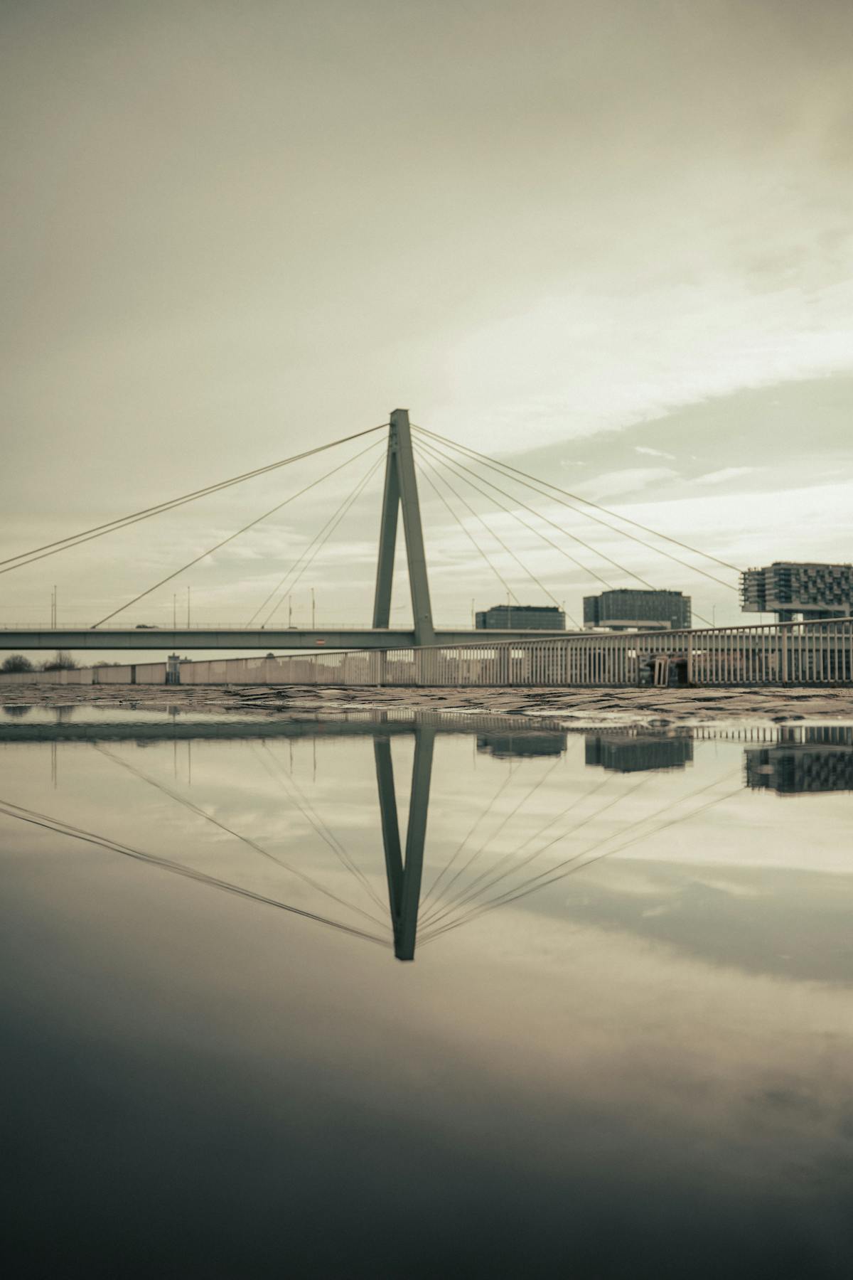 Suspension Bridge Photos, Download The BEST Free Suspension Bridge ...