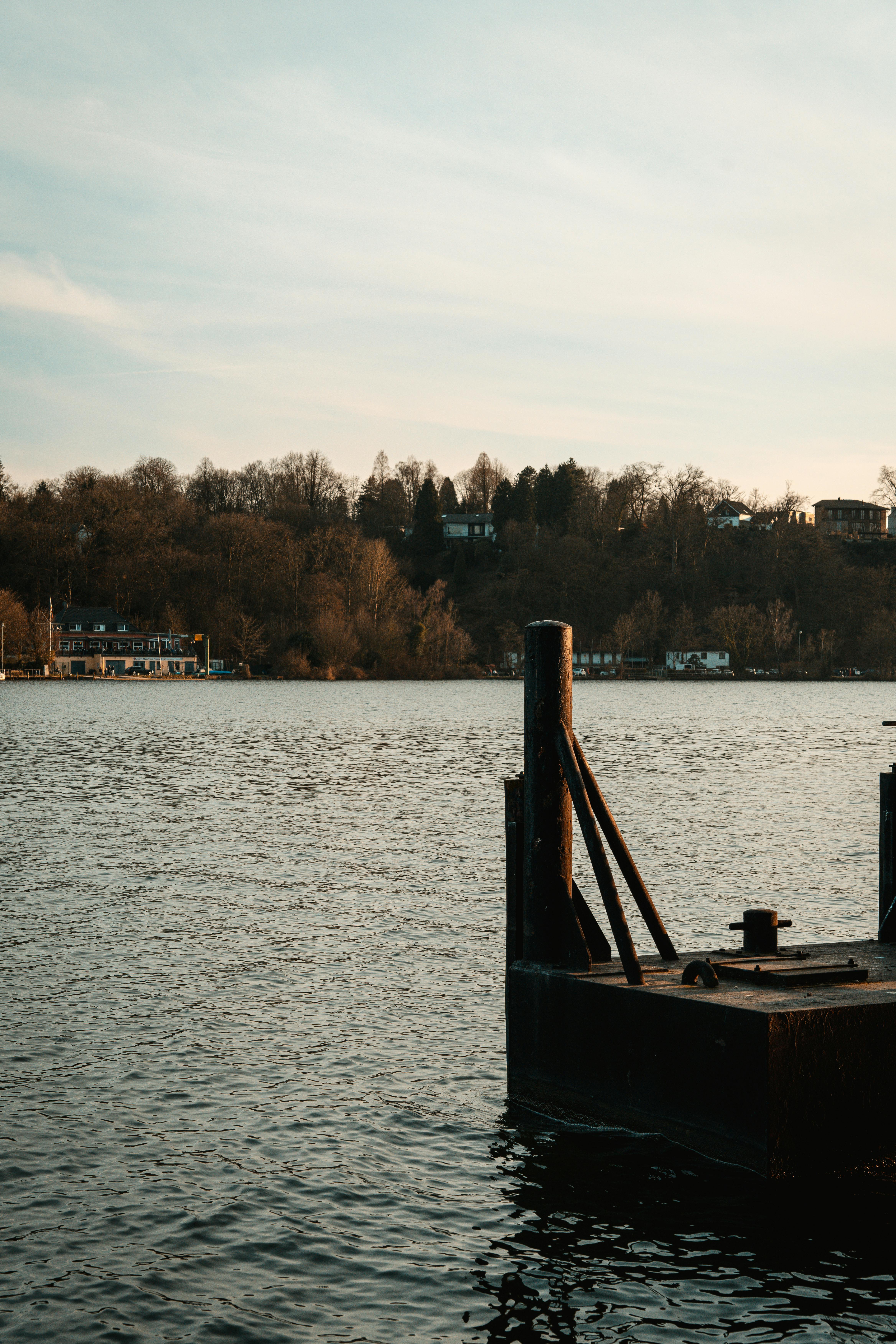 Green Tree Line Near Body of Water at Golden Hours · Free Stock Photo