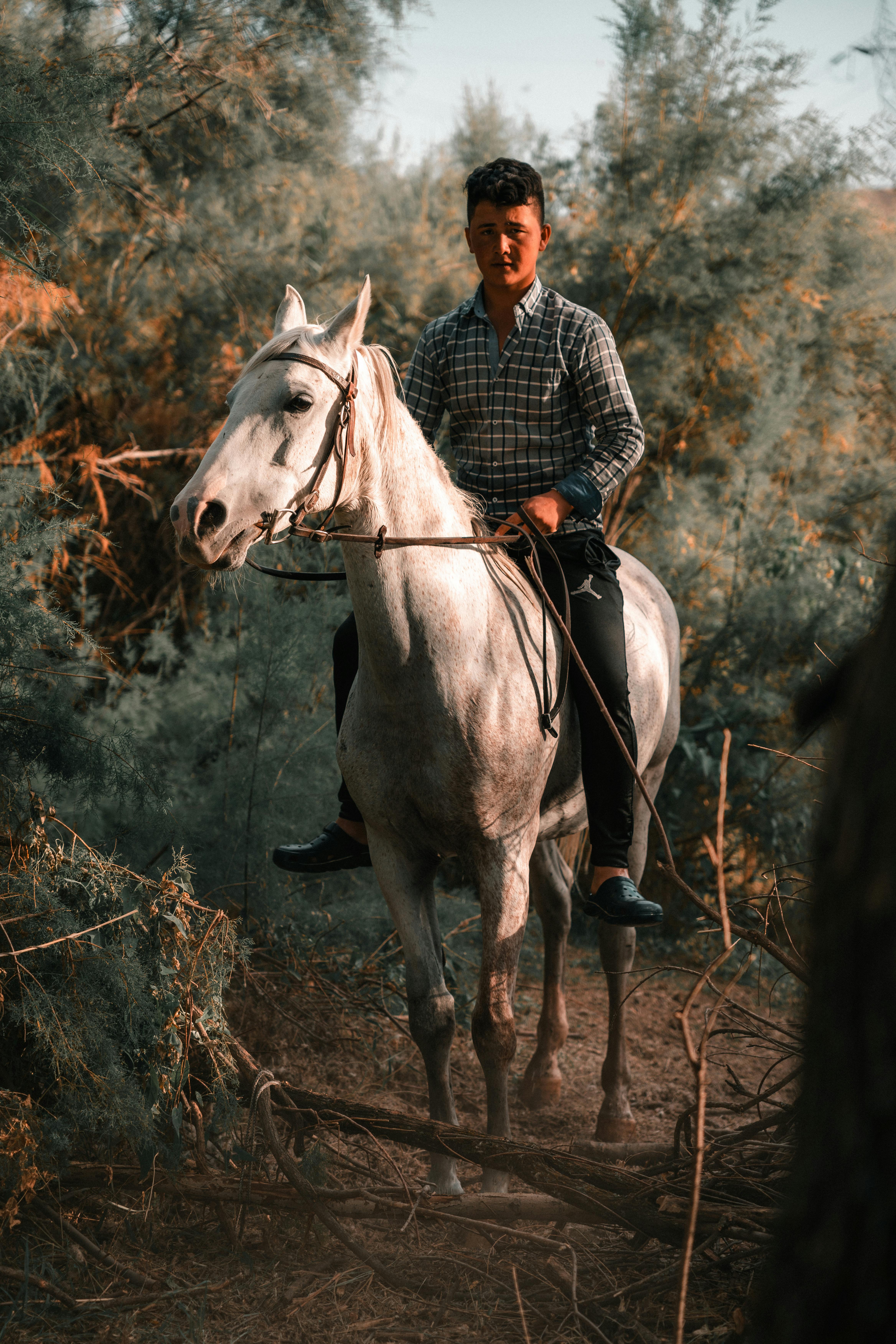 Man Riding a White Horse Down a Path in the Forest · Free Stock Photo