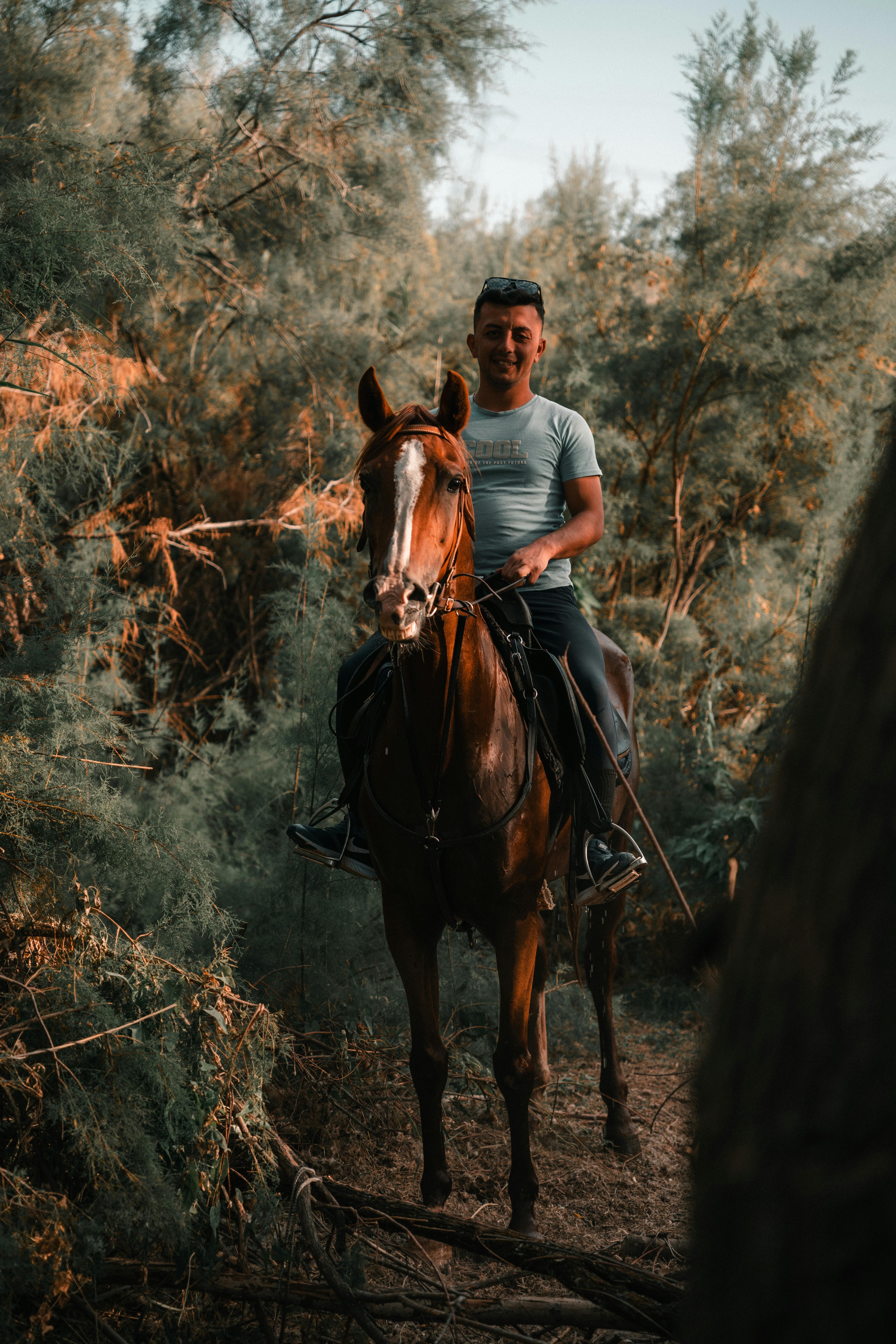 Man Horseback Riding · Free Stock Photo