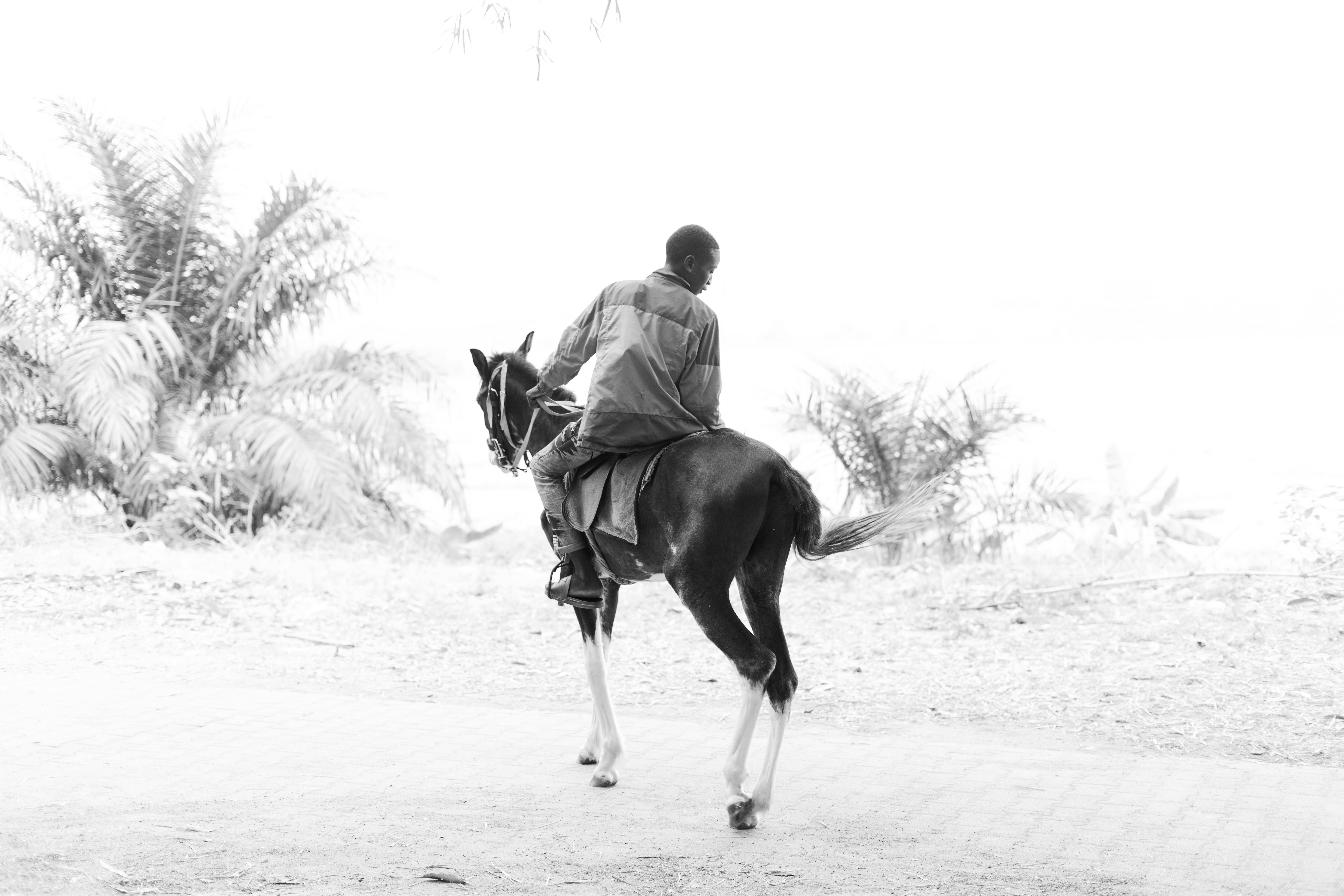 Boy Horseback Riding · Free Stock Photo