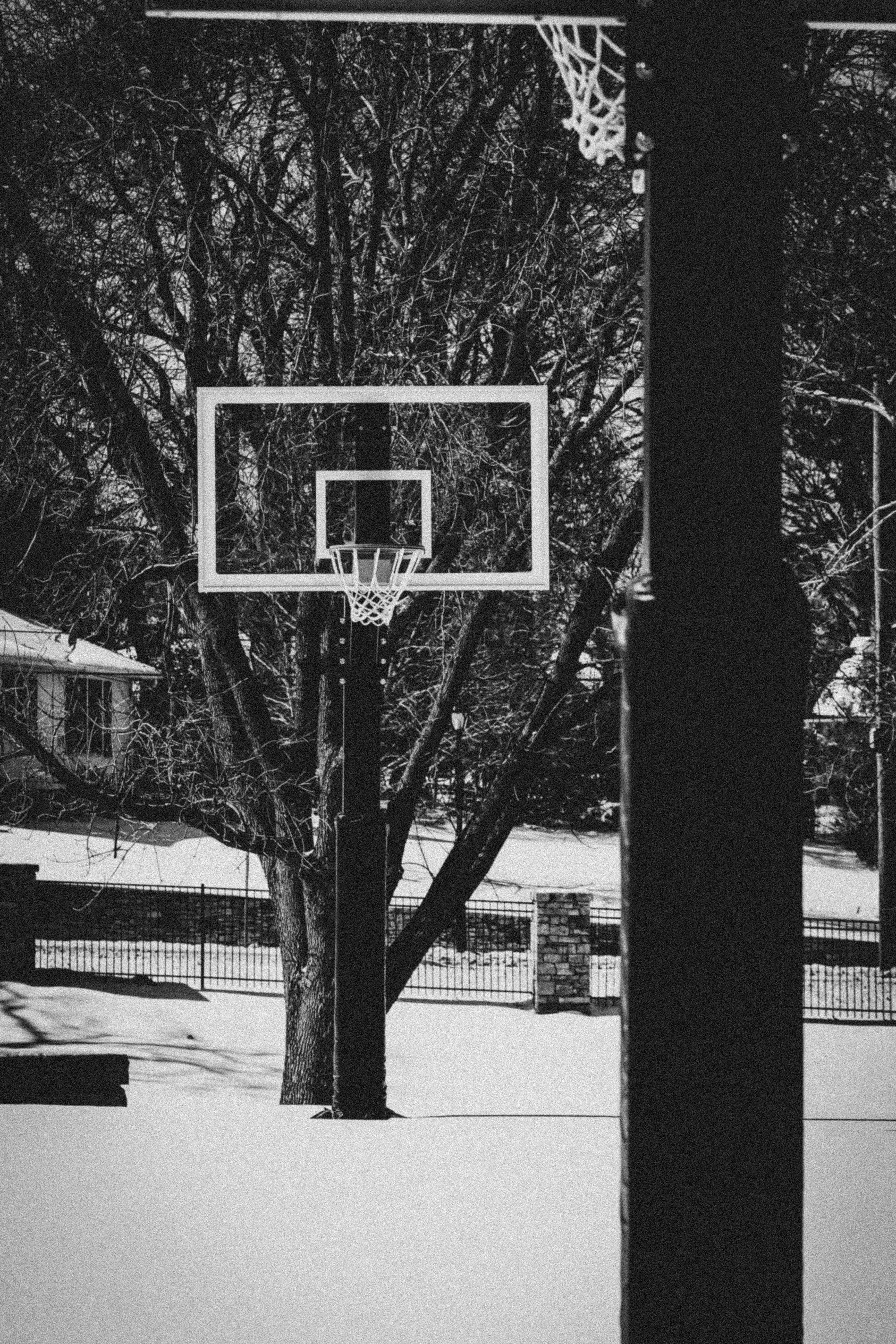 간판, 경치, 나무에 관한 무료 스톡 사진