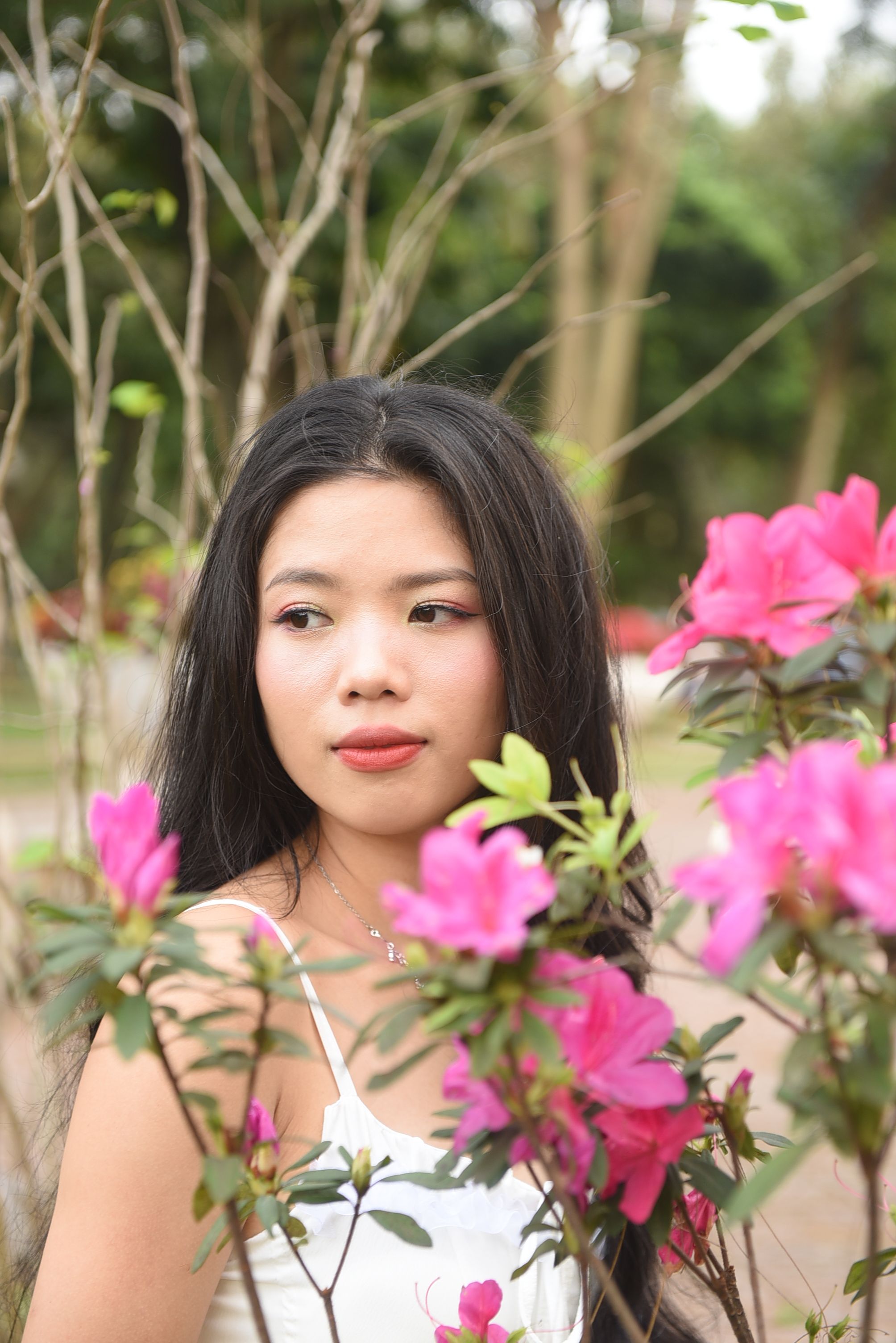 Portrait of a Woman Behind Pink Flowers · Free Stock Photo