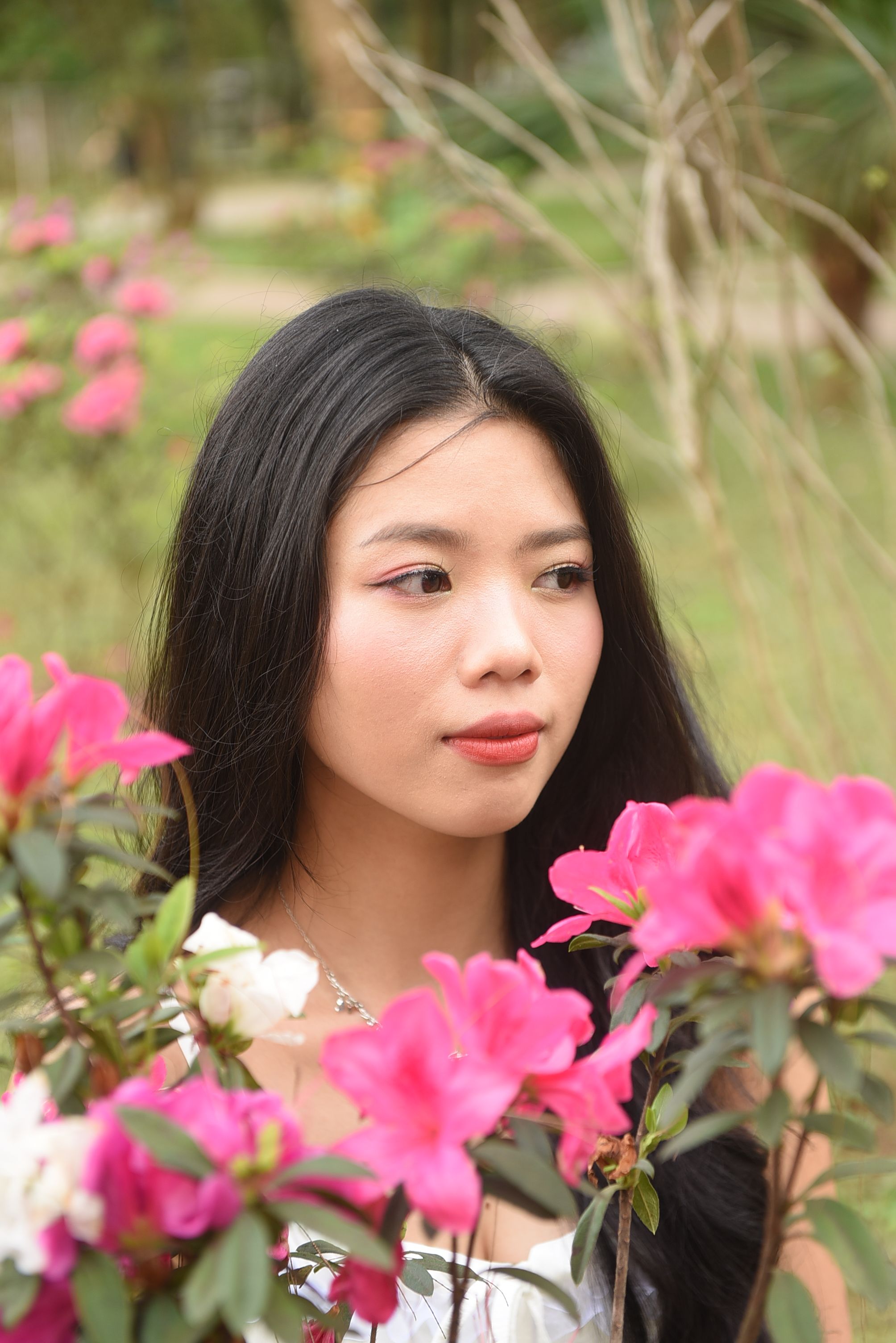 Portrait of a Woman Behind Pink Flowers · Free Stock Photo